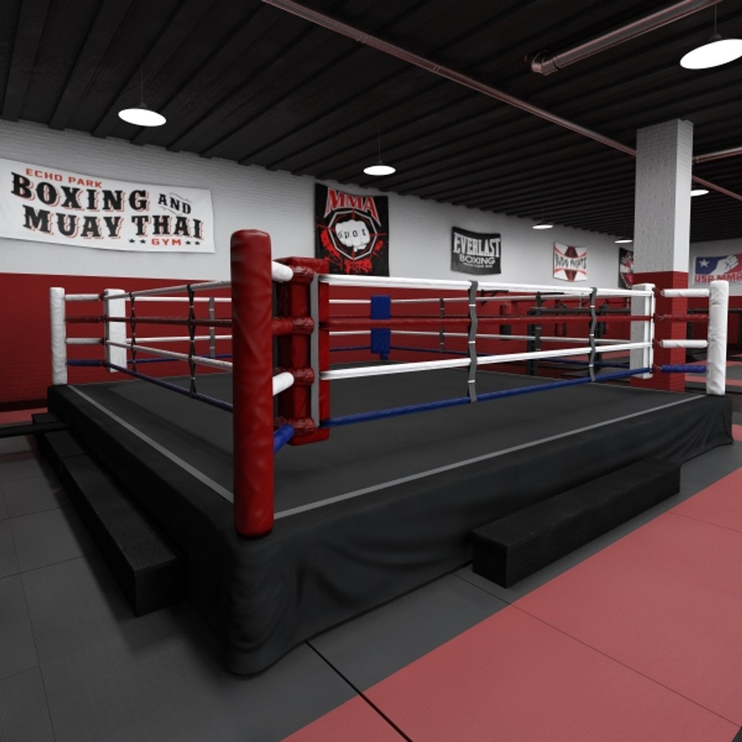 Mma Training Centre 3D Model - TurboSquid 1184224
