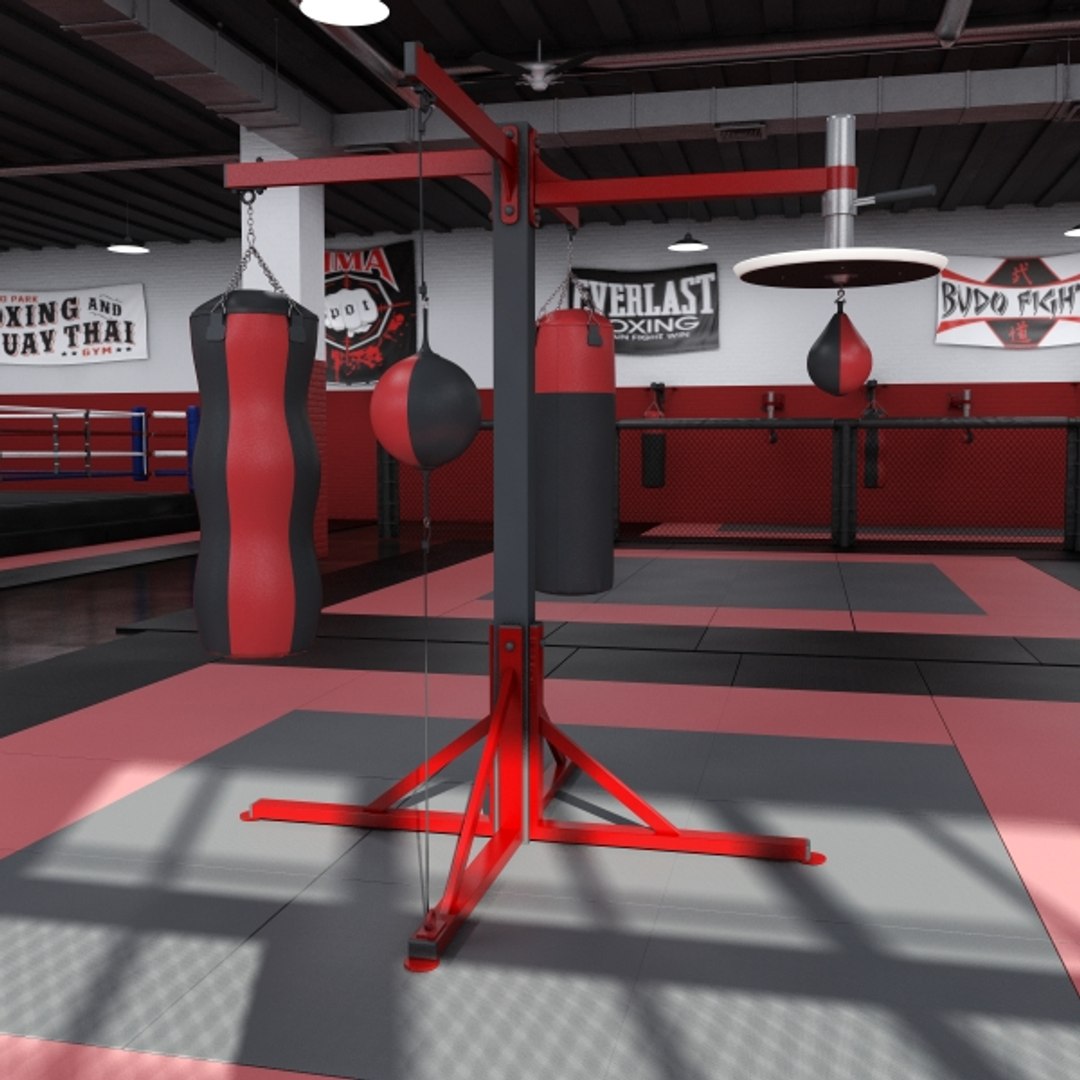 Mma Training Centre 3D Model - TurboSquid 1184224