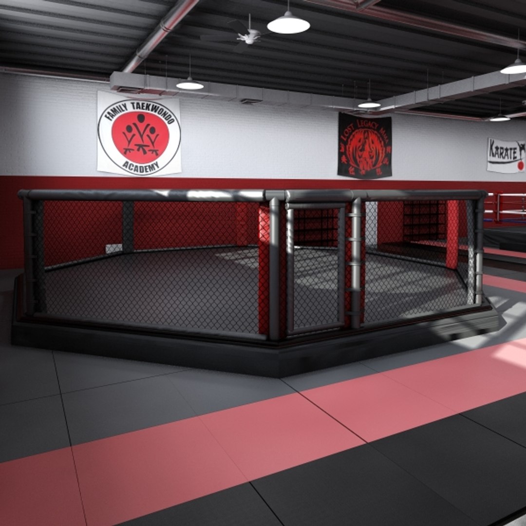 Mma Training Centre 3D Model - TurboSquid 1184224