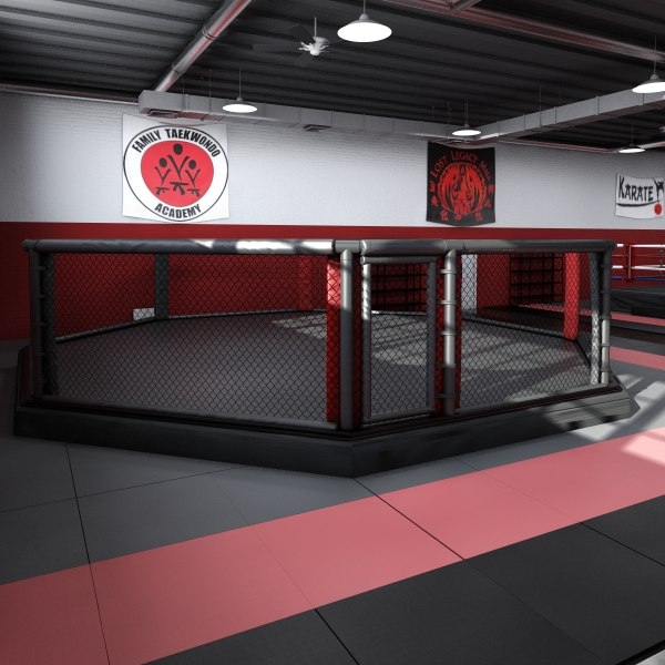 Mma training centre 3D model - TurboSquid 1184224