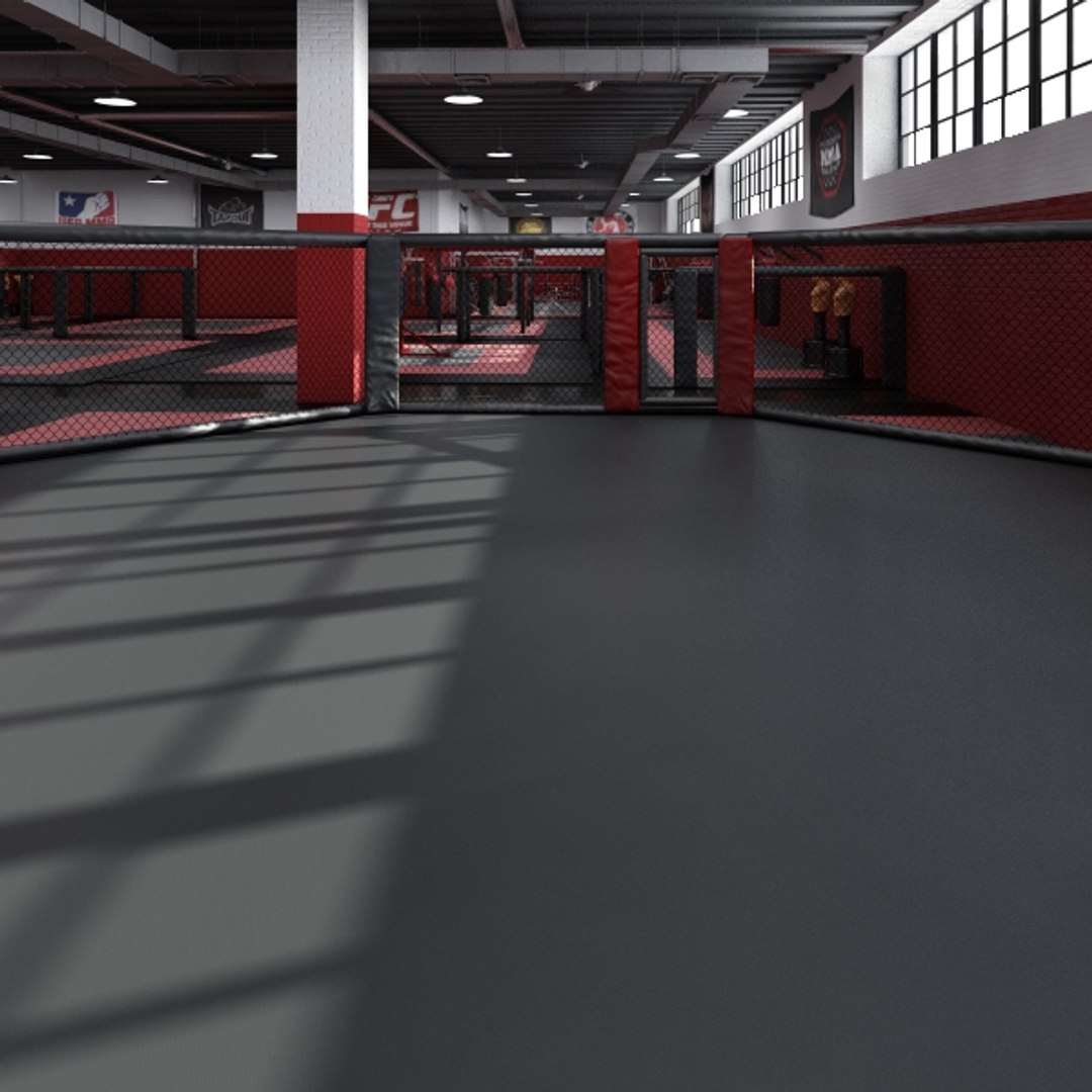 Mma Training Centre 3D Model - TurboSquid 1184224