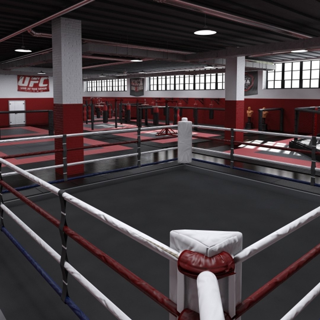 Mma Training Centre 3D Model - TurboSquid 1184224