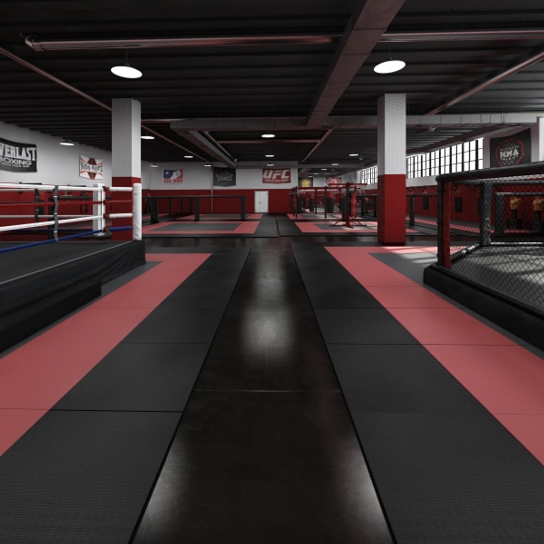 Mma Training Centre 3D Model - TurboSquid 1184224