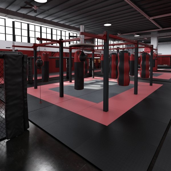 Mma training centre 3D model - TurboSquid 1184224
