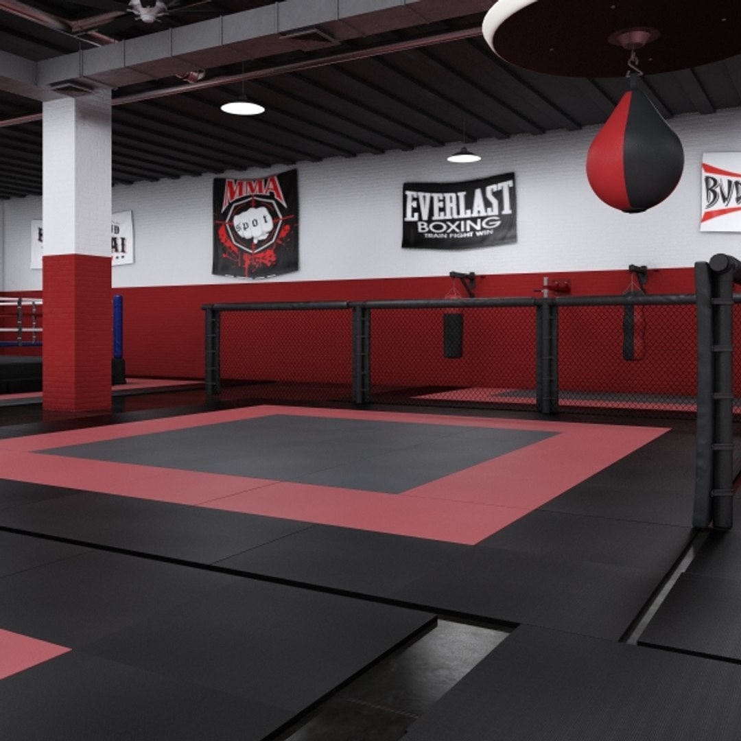 Mma Training Centre 3D Model - TurboSquid 1184224