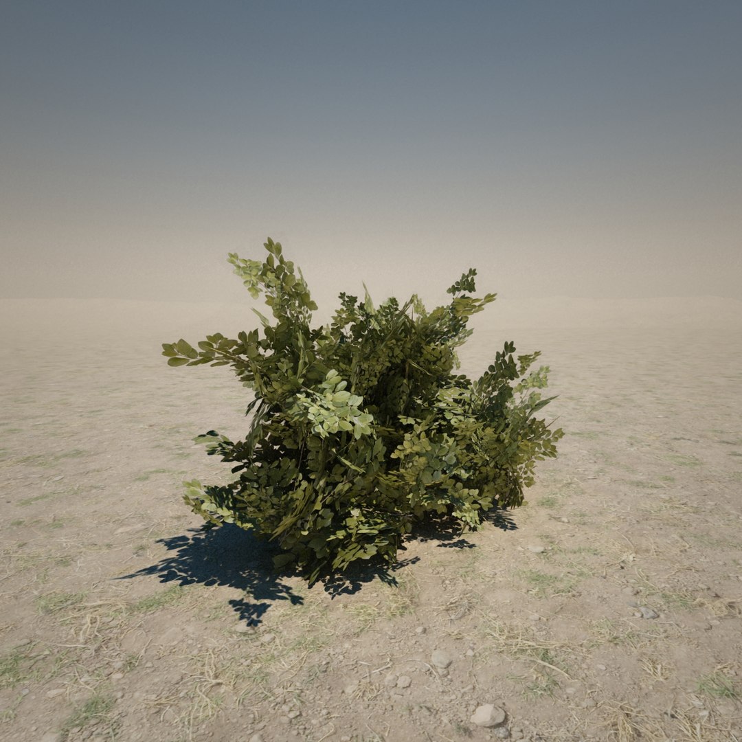 3d model large bush