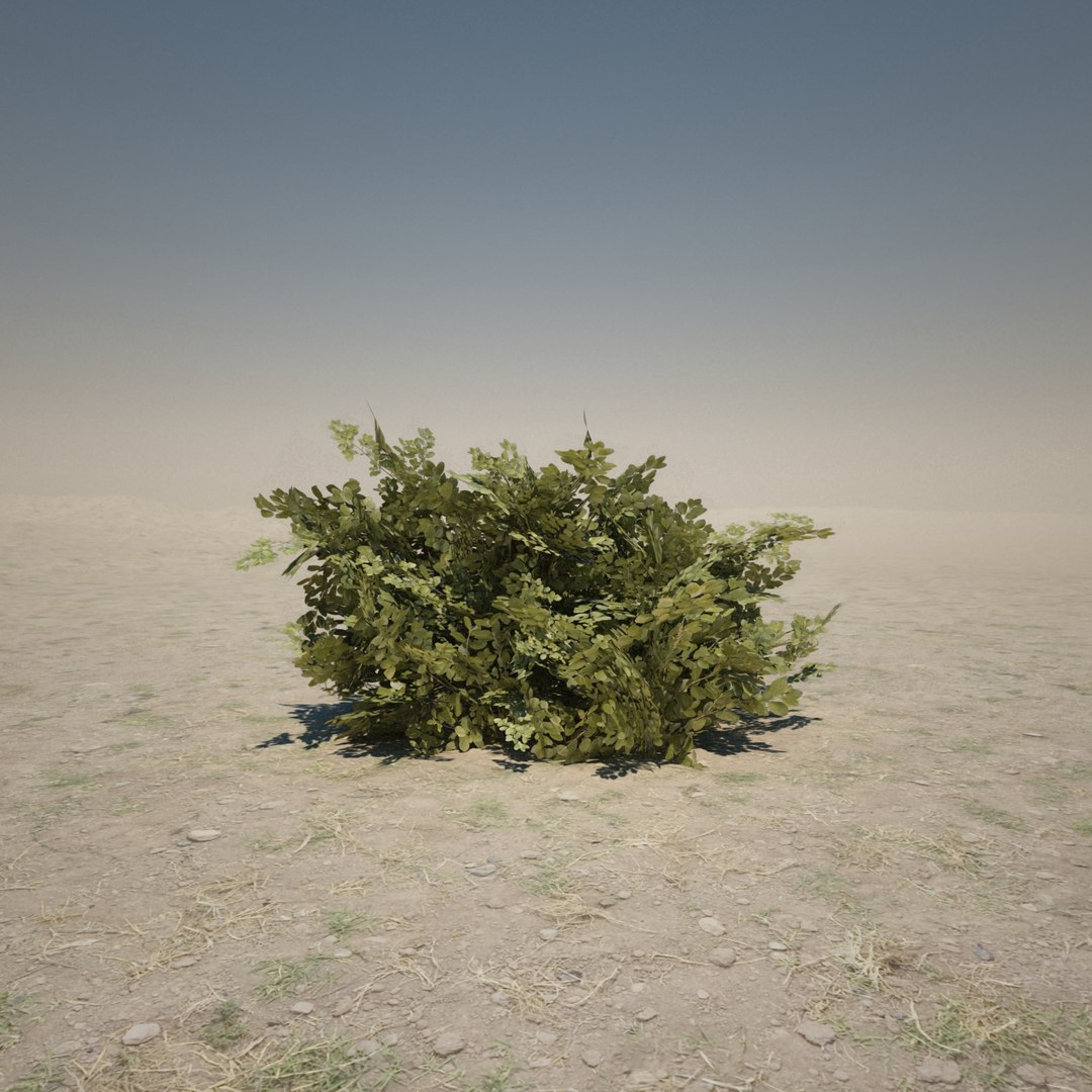 3d model large bush