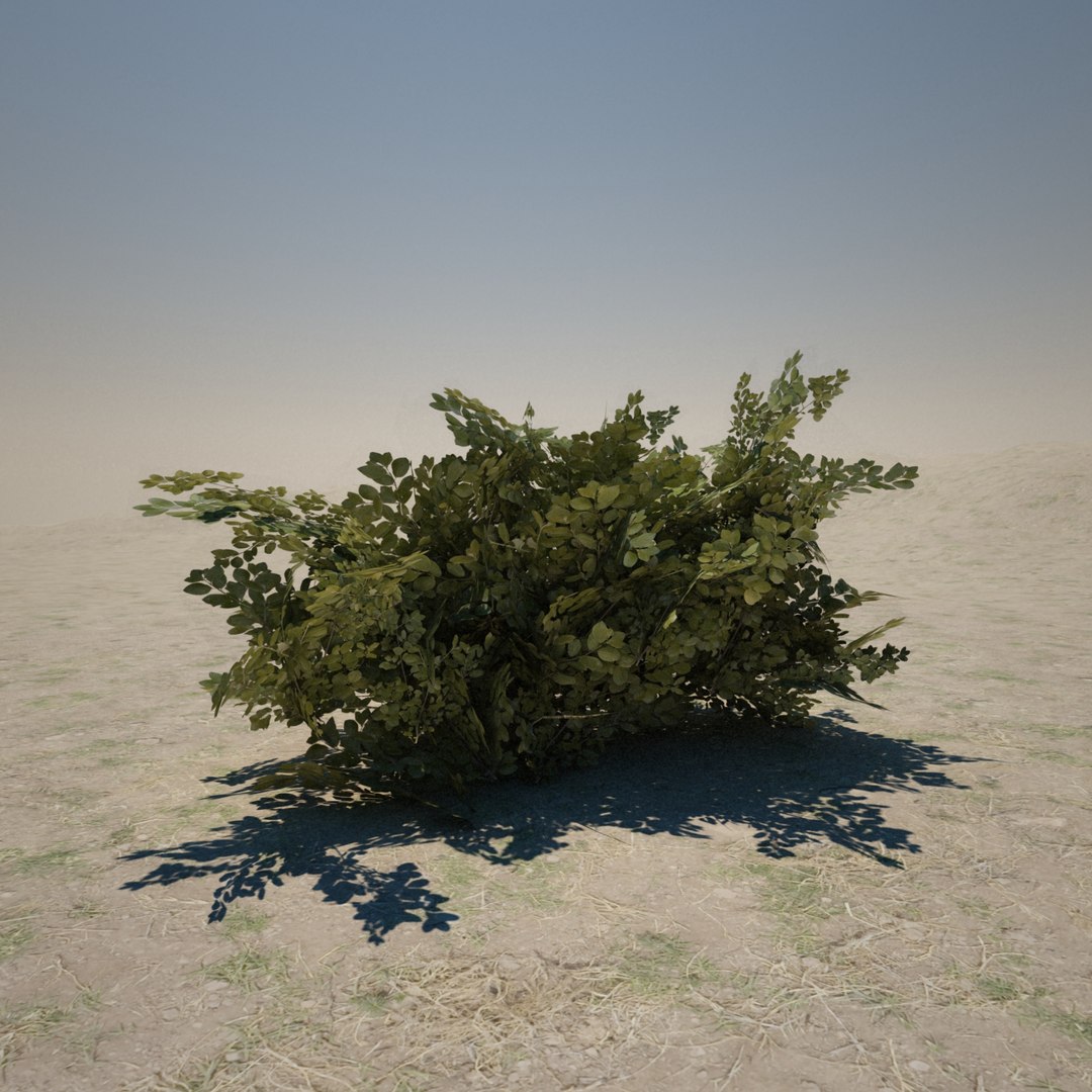 3d model large bush