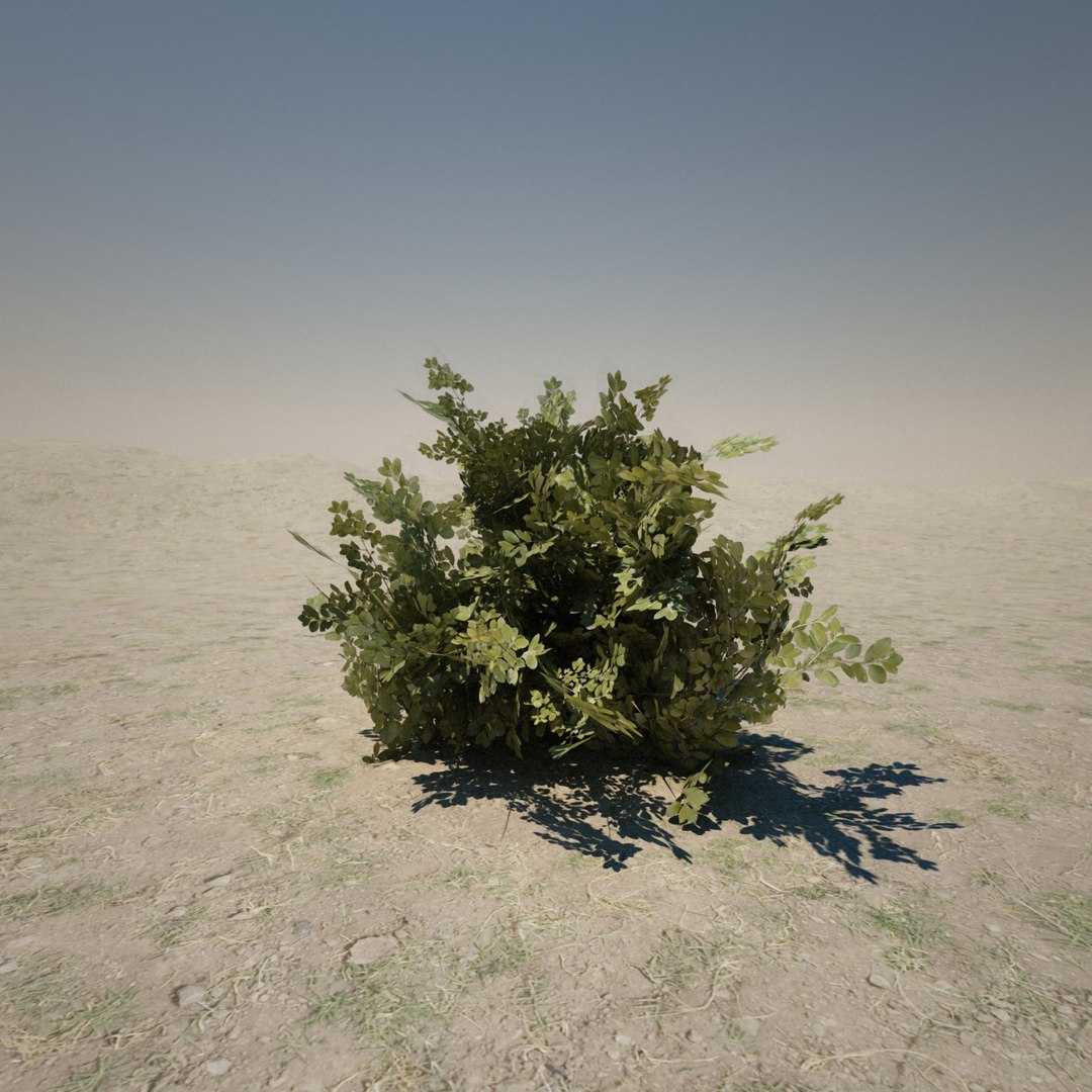 3d model large bush