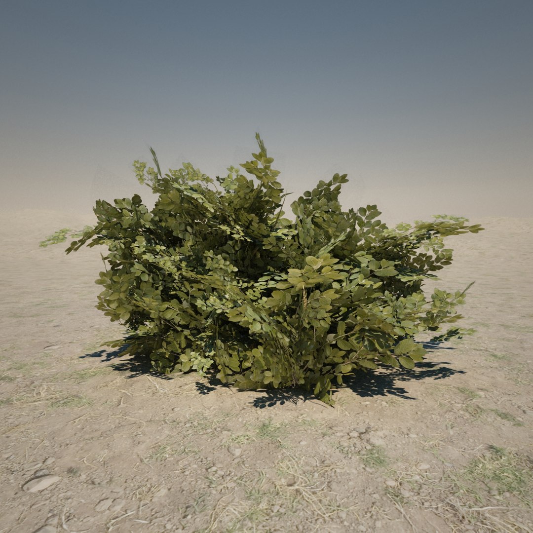 3d model large bush