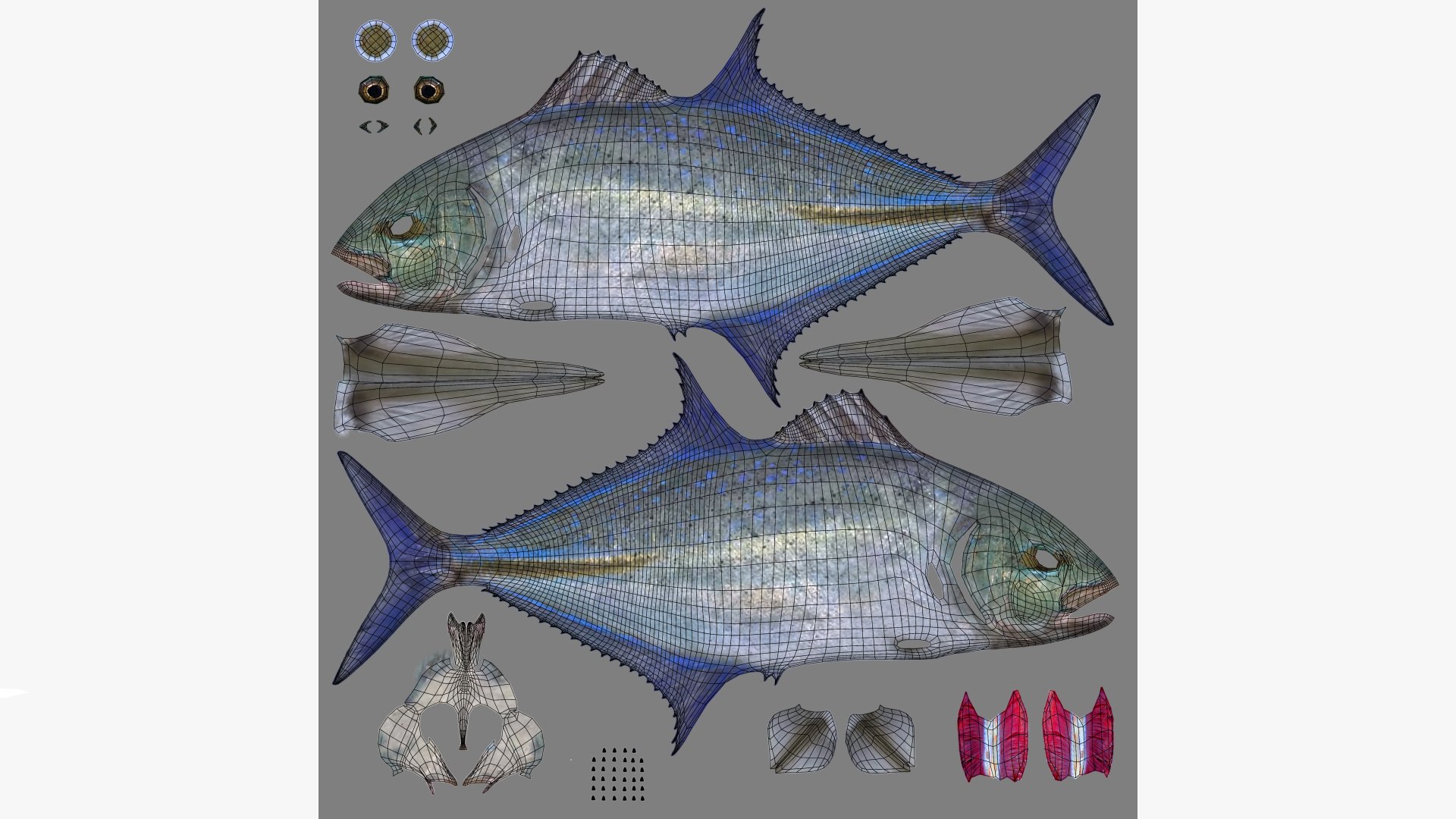 Bluefin Trevally Model - TurboSquid 2398266