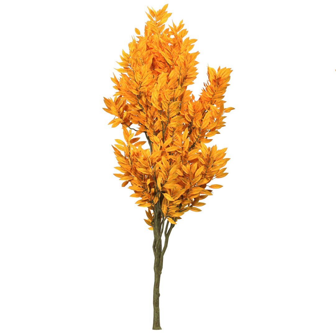 3D model Forest Saplings in Fall and Summer - TurboSquid 2138568