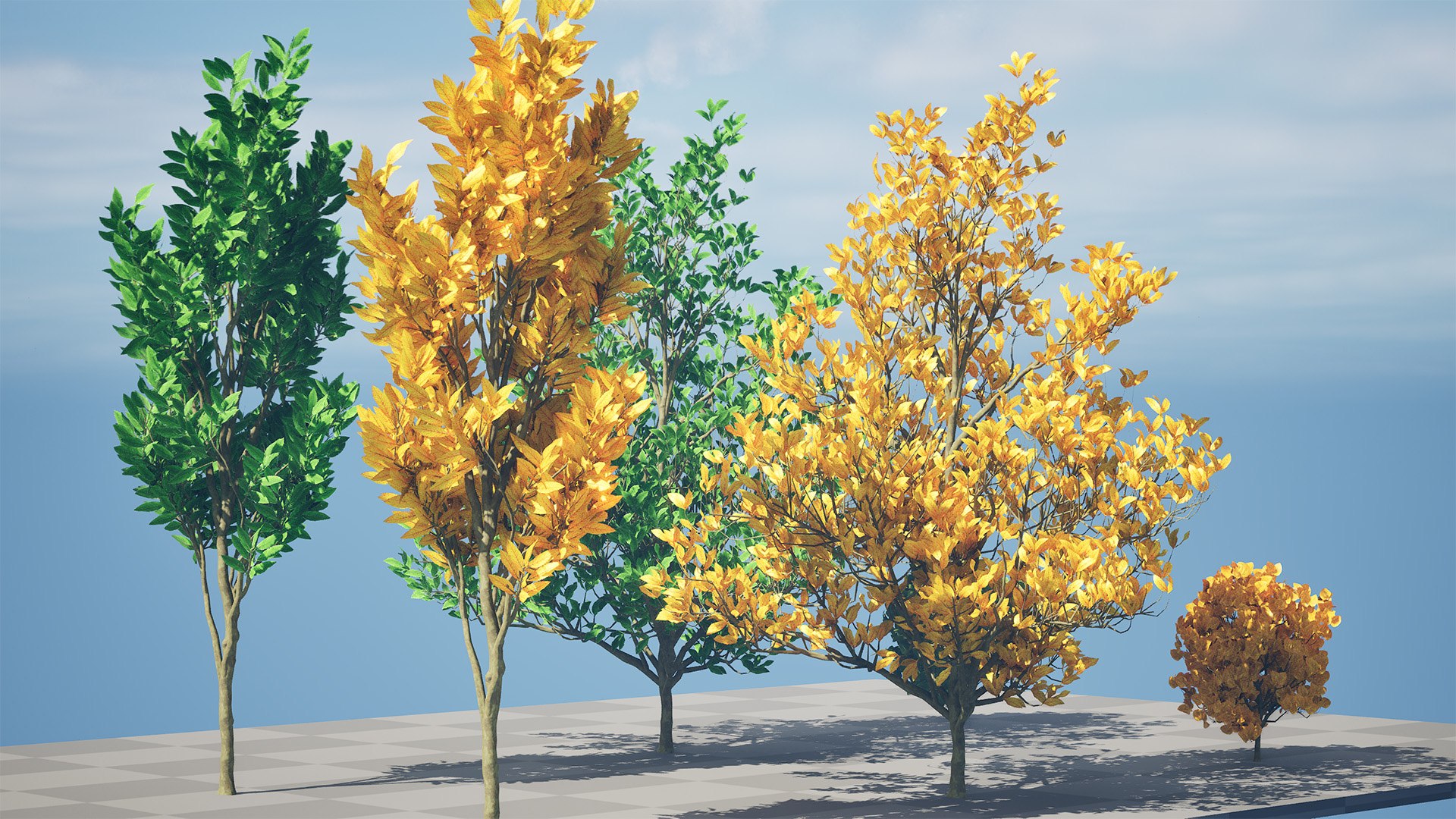 3D model Forest Saplings in Fall and Summer - TurboSquid 2138568