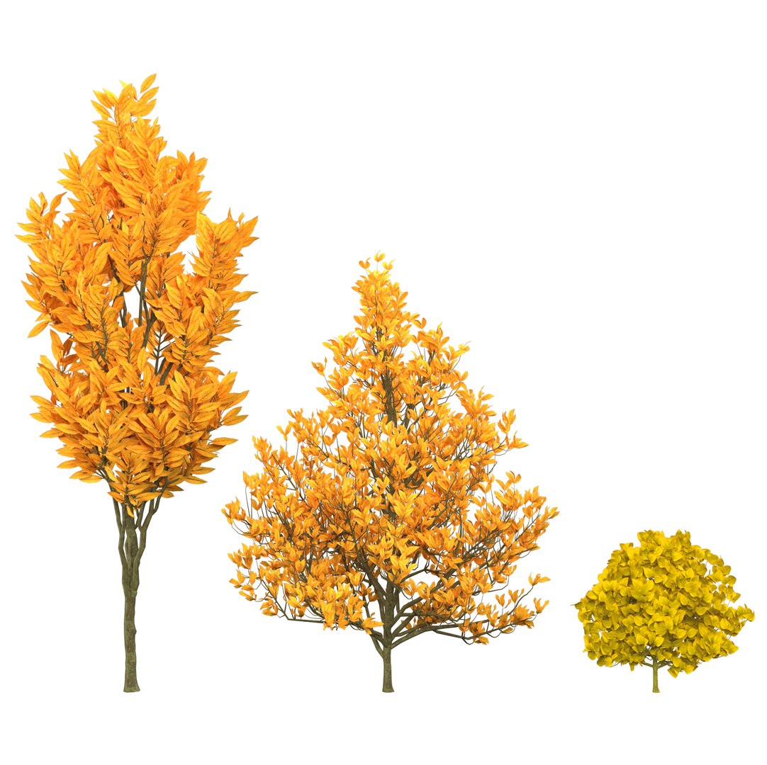 3D model Forest Saplings in Fall and Summer - TurboSquid 2138568