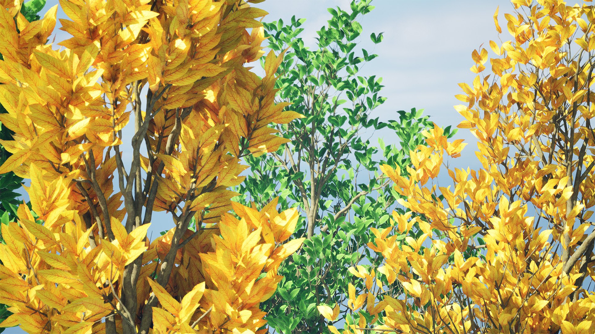 3D model Forest Saplings in Fall and Summer - TurboSquid 2138568