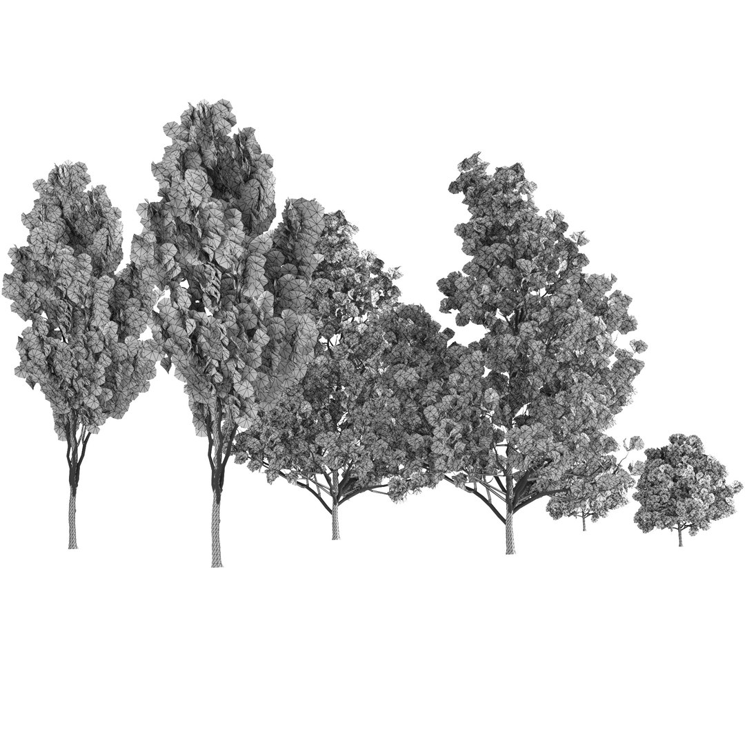 3D model Forest Saplings in Fall and Summer - TurboSquid 2138568