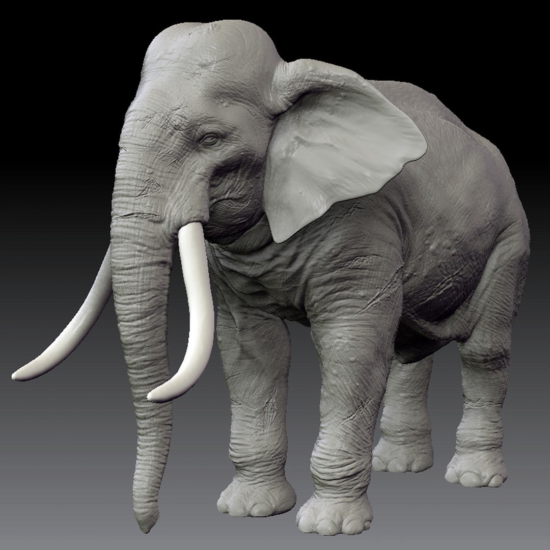 Obj Wounded Elephant