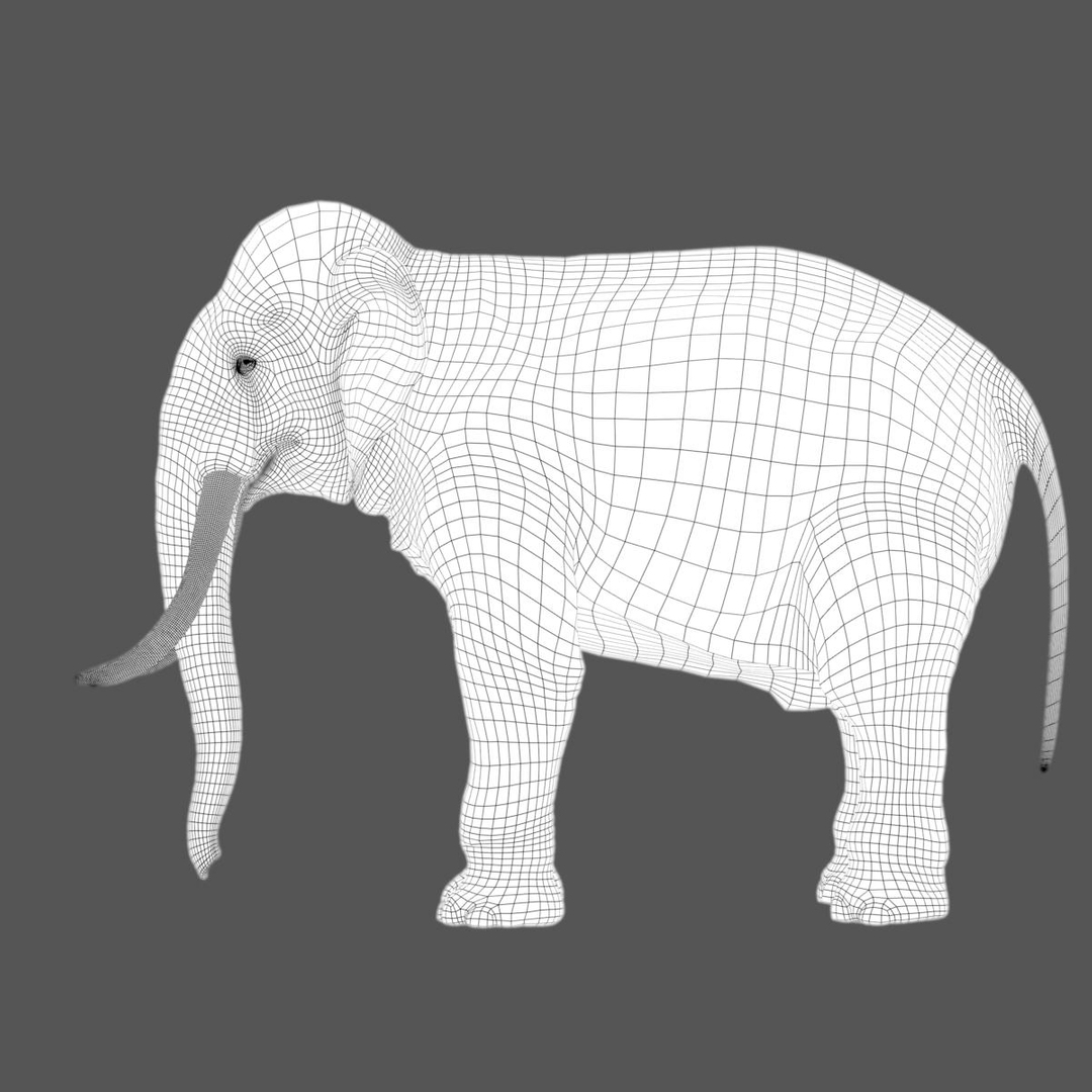 Obj Wounded Elephant