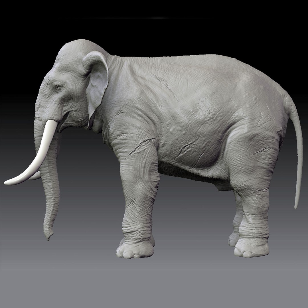 Obj Wounded Elephant