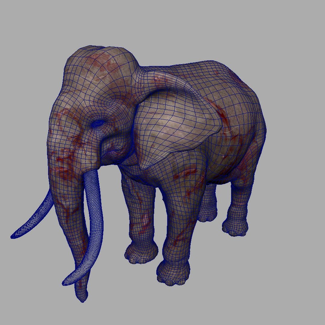 Obj Wounded Elephant