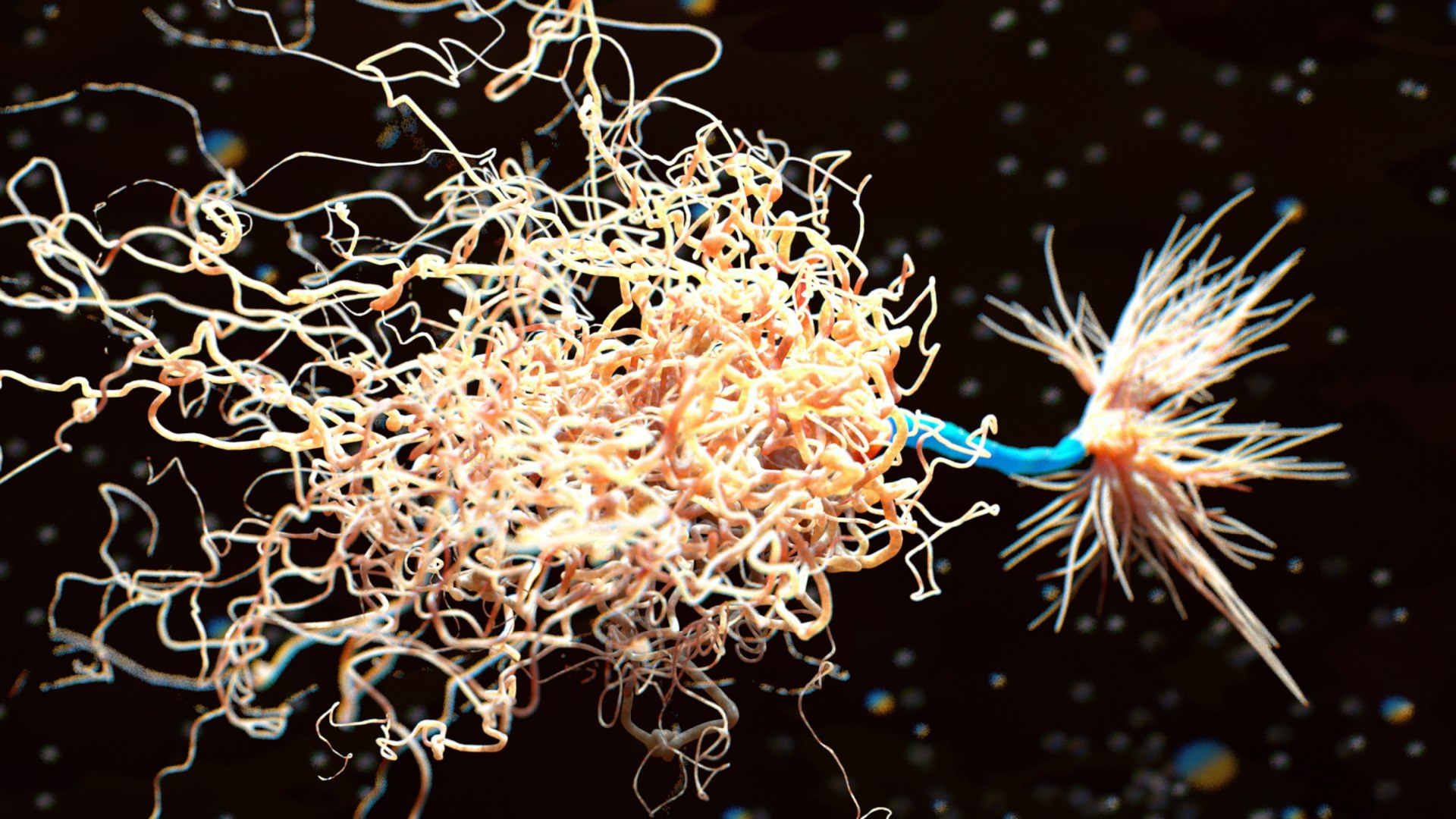 Neuron Myelin Sheath 3d Fbx
