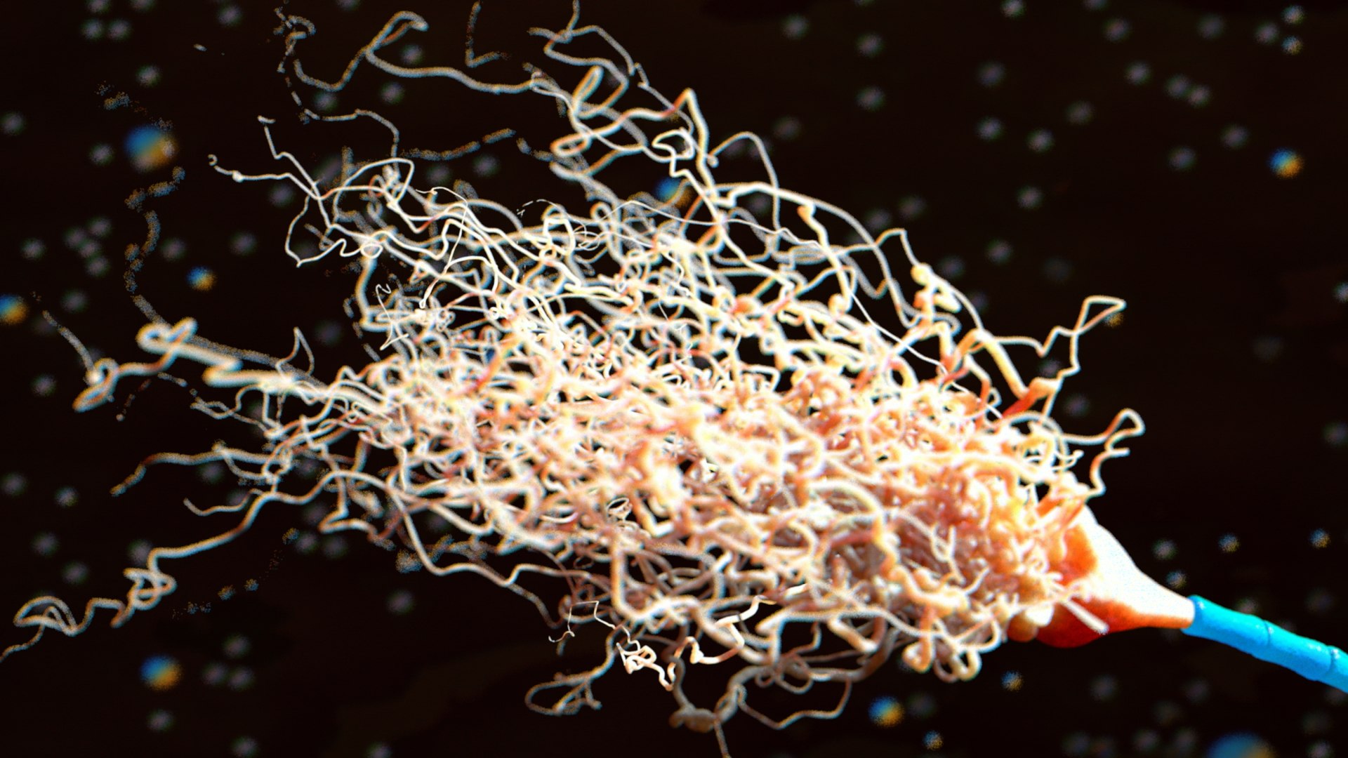 Neuron Myelin Sheath 3d Fbx