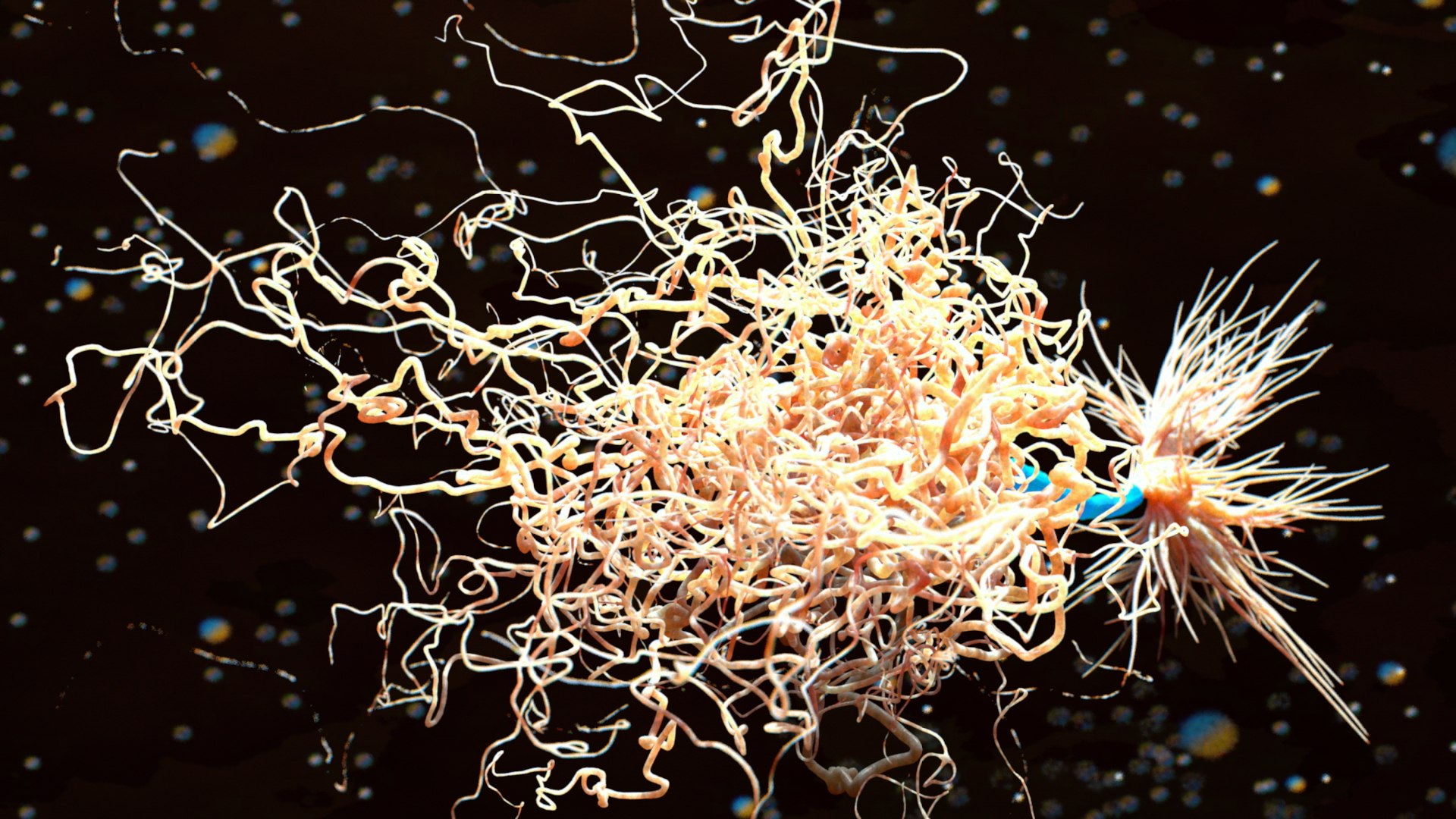 Neuron Myelin Sheath 3d Fbx