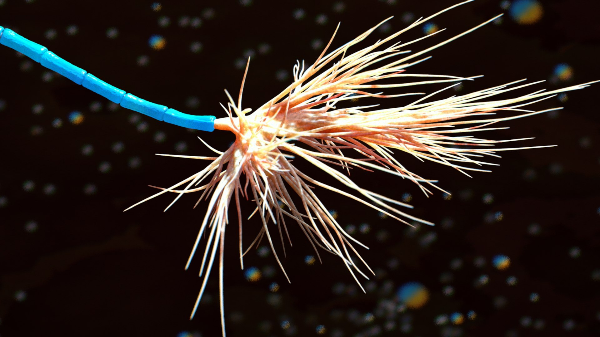 Neuron Myelin Sheath 3d Fbx