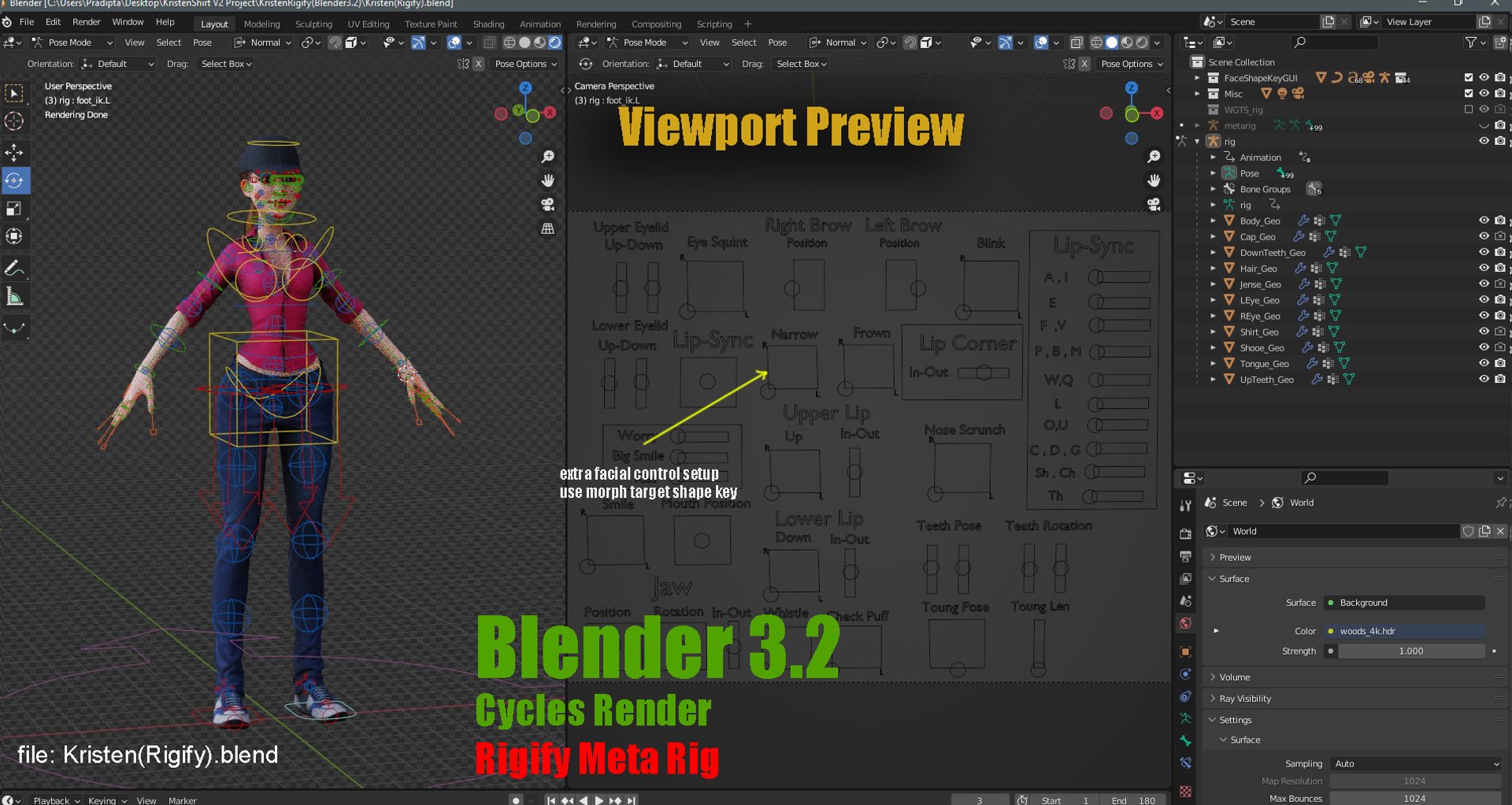 3D Kristen Cartoon Woman Rig V2 - TurboSquid 1998010
