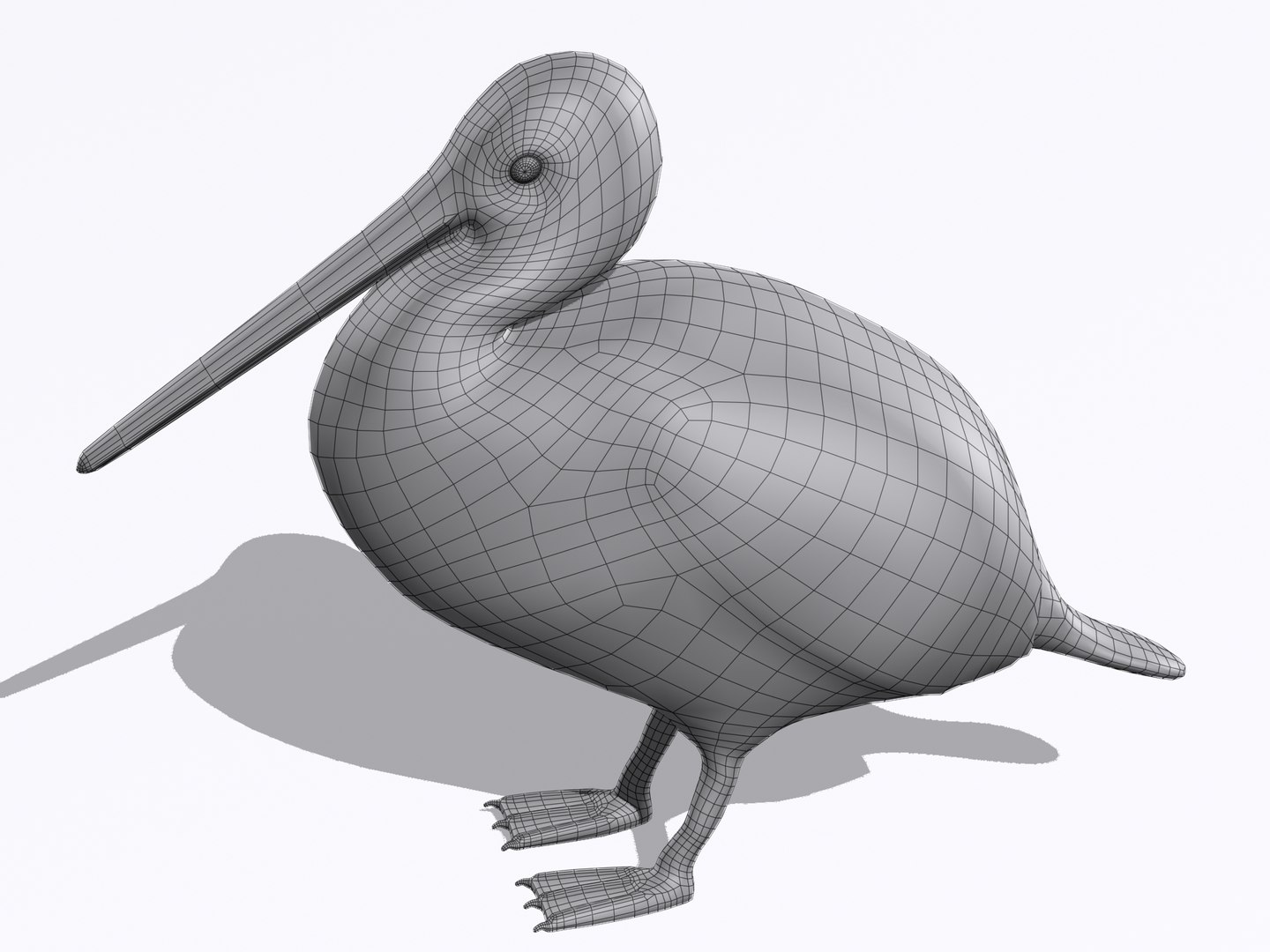 3d Model Pelican