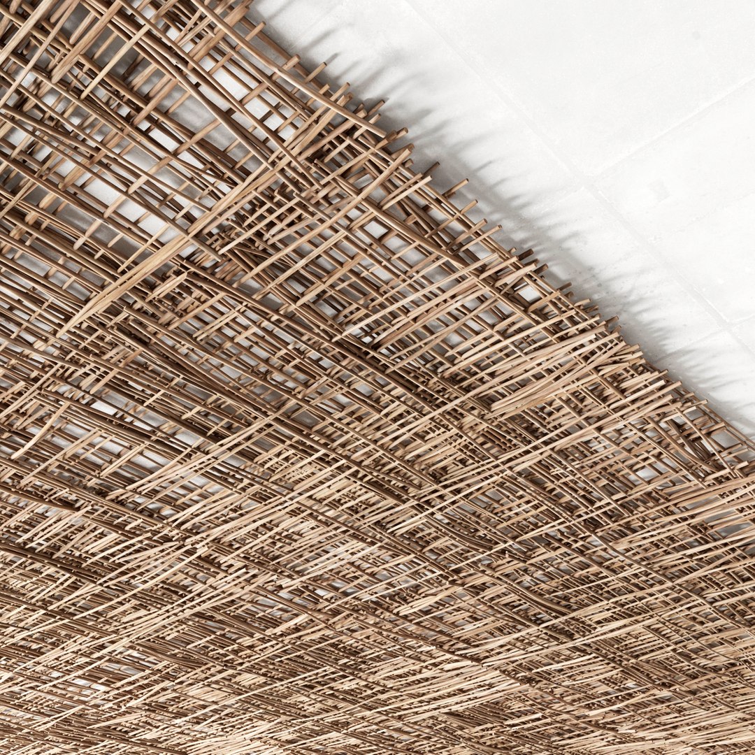 Ceiling branch model - TurboSquid 1477841