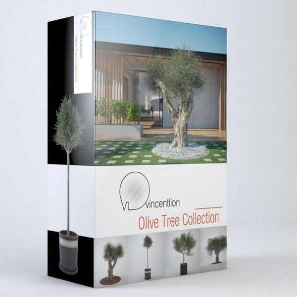 Olive Tree 3D Models for Download | TurboSquid