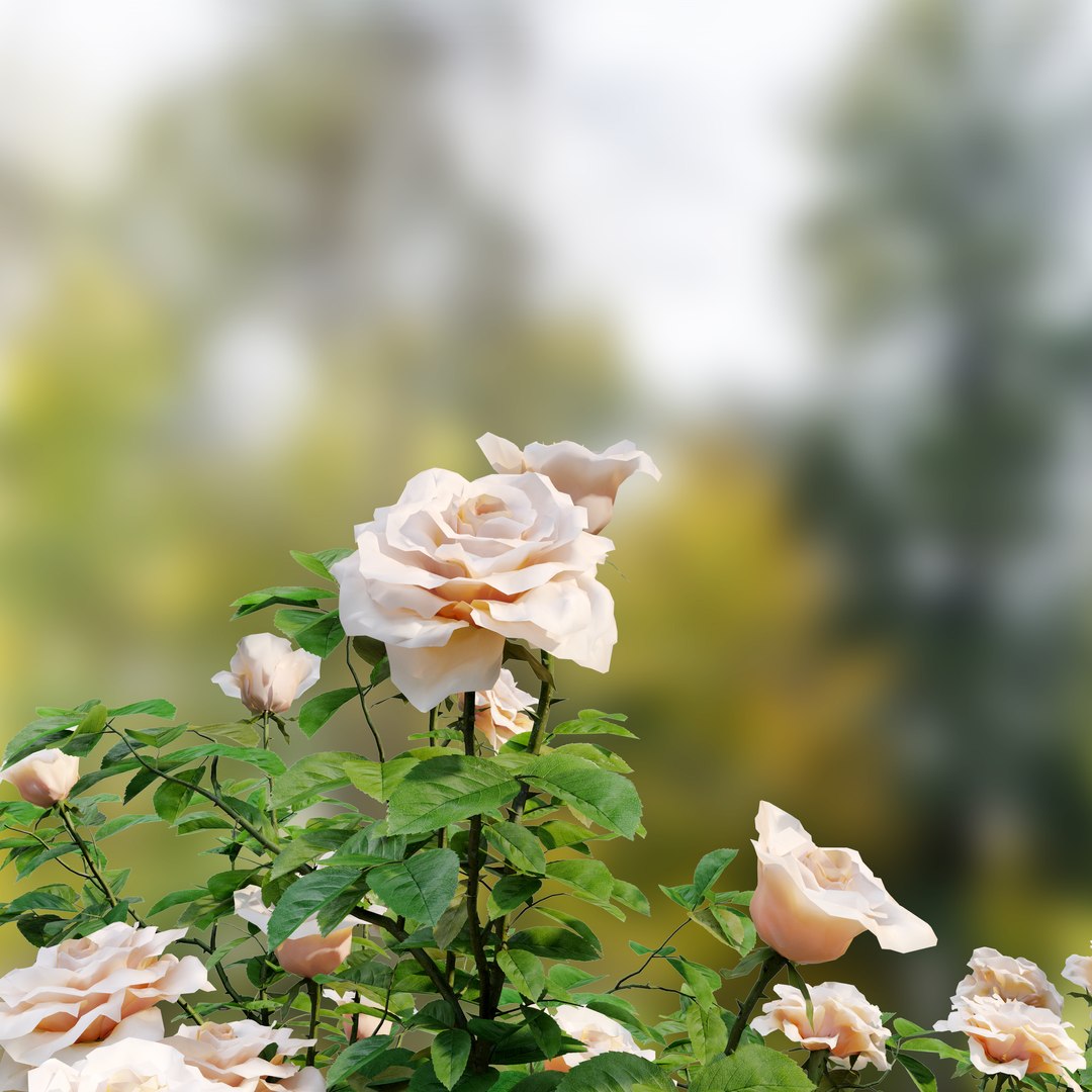 Rose bush 02 model - TurboSquid 1990922