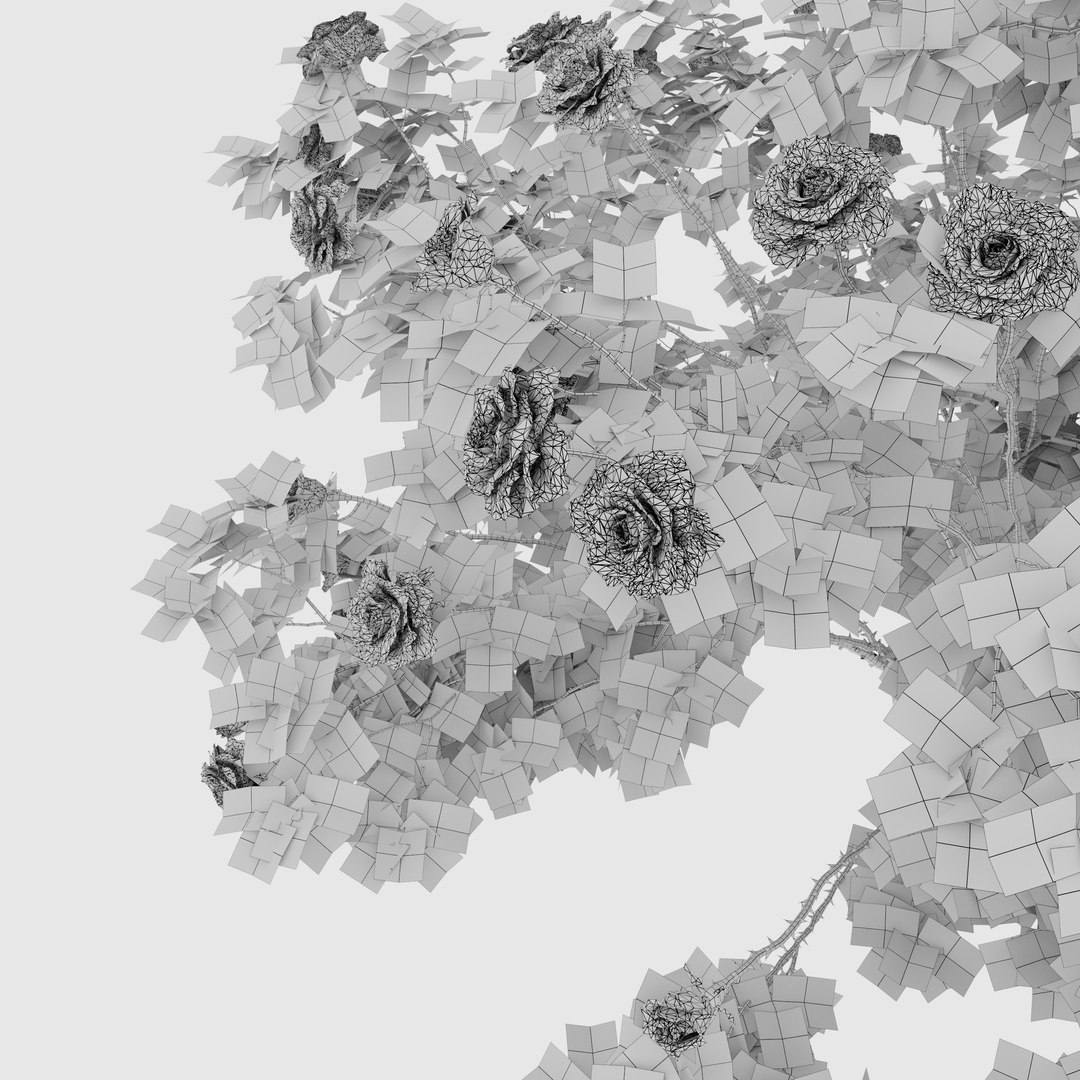 Rose bush 02 model - TurboSquid 1990922