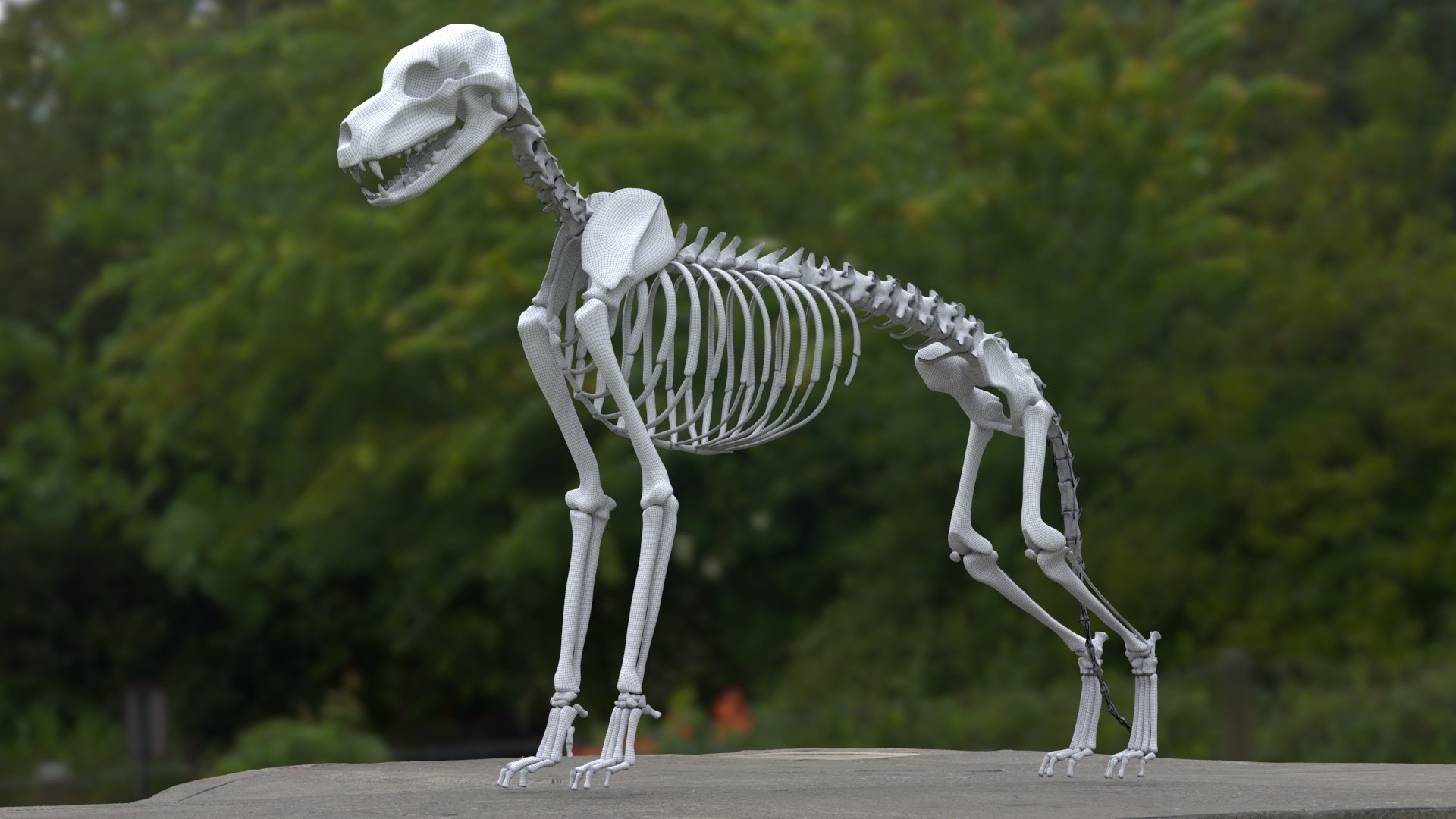 German Shepherd RIGGED Model - TurboSquid 2236838