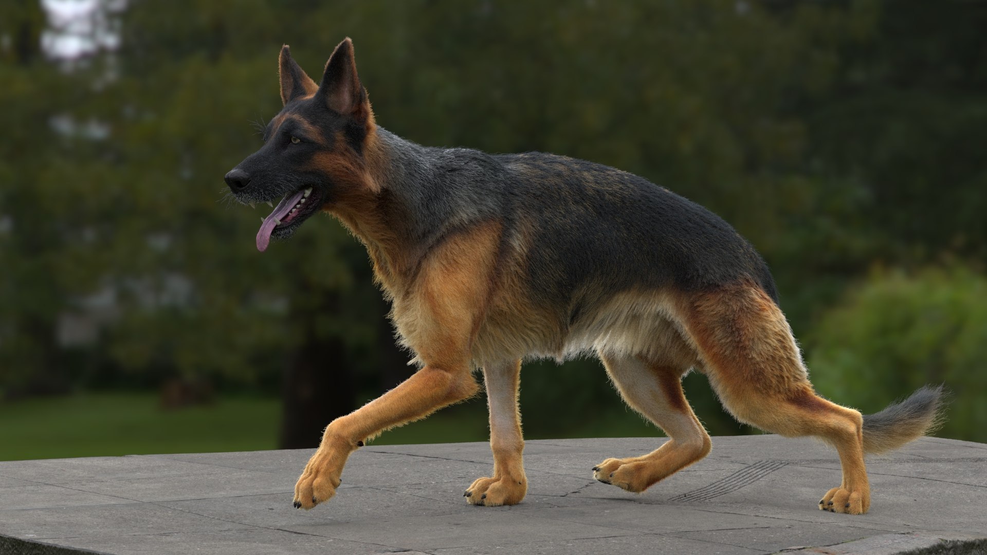 German Shepherd RIGGED Model - TurboSquid 2236838