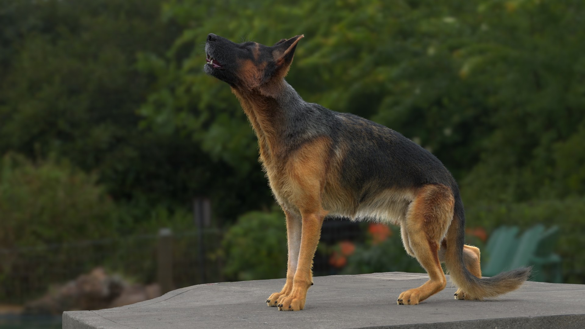German Shepherd RIGGED Model - TurboSquid 2236838