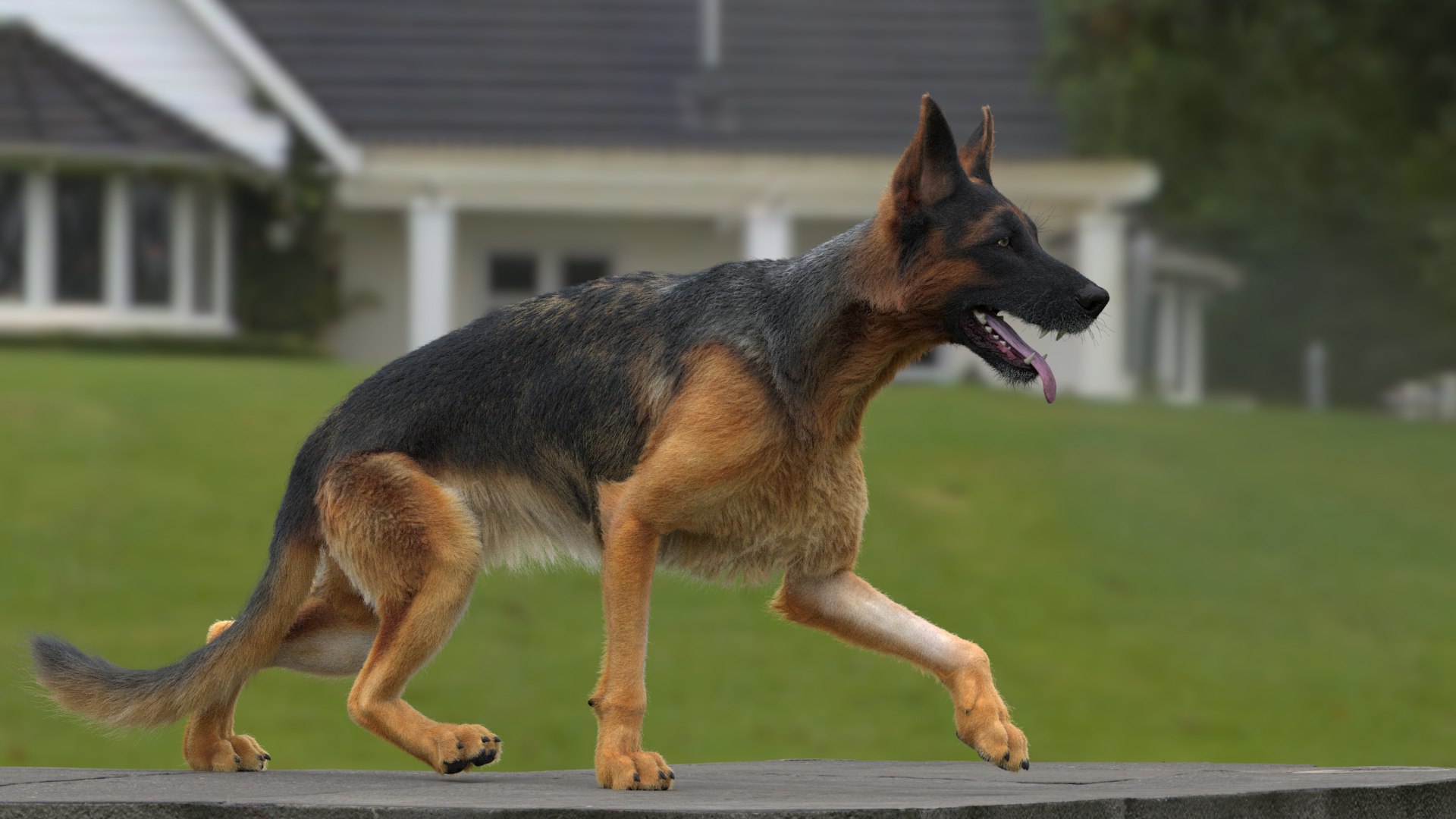 German Shepherd RIGGED Model - TurboSquid 2236838