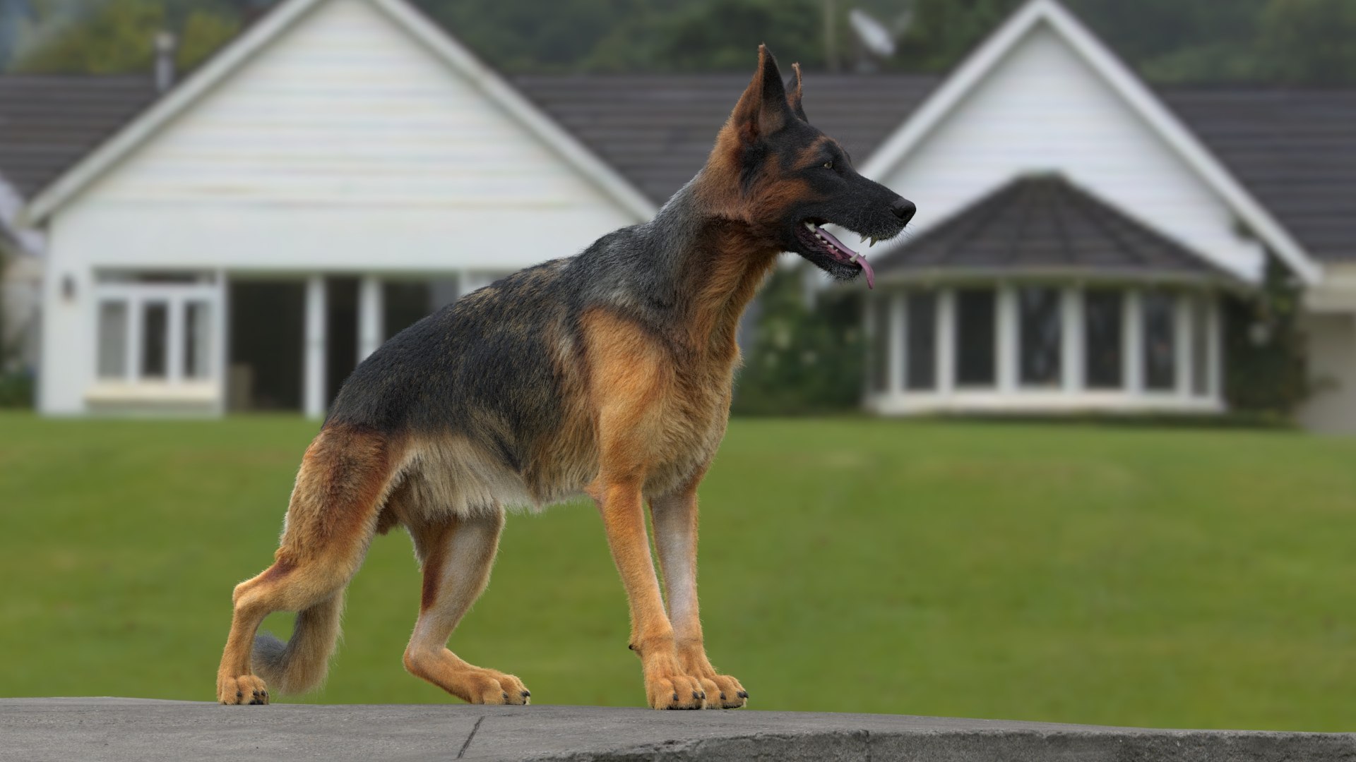 German Shepherd RIGGED Model - TurboSquid 2236838