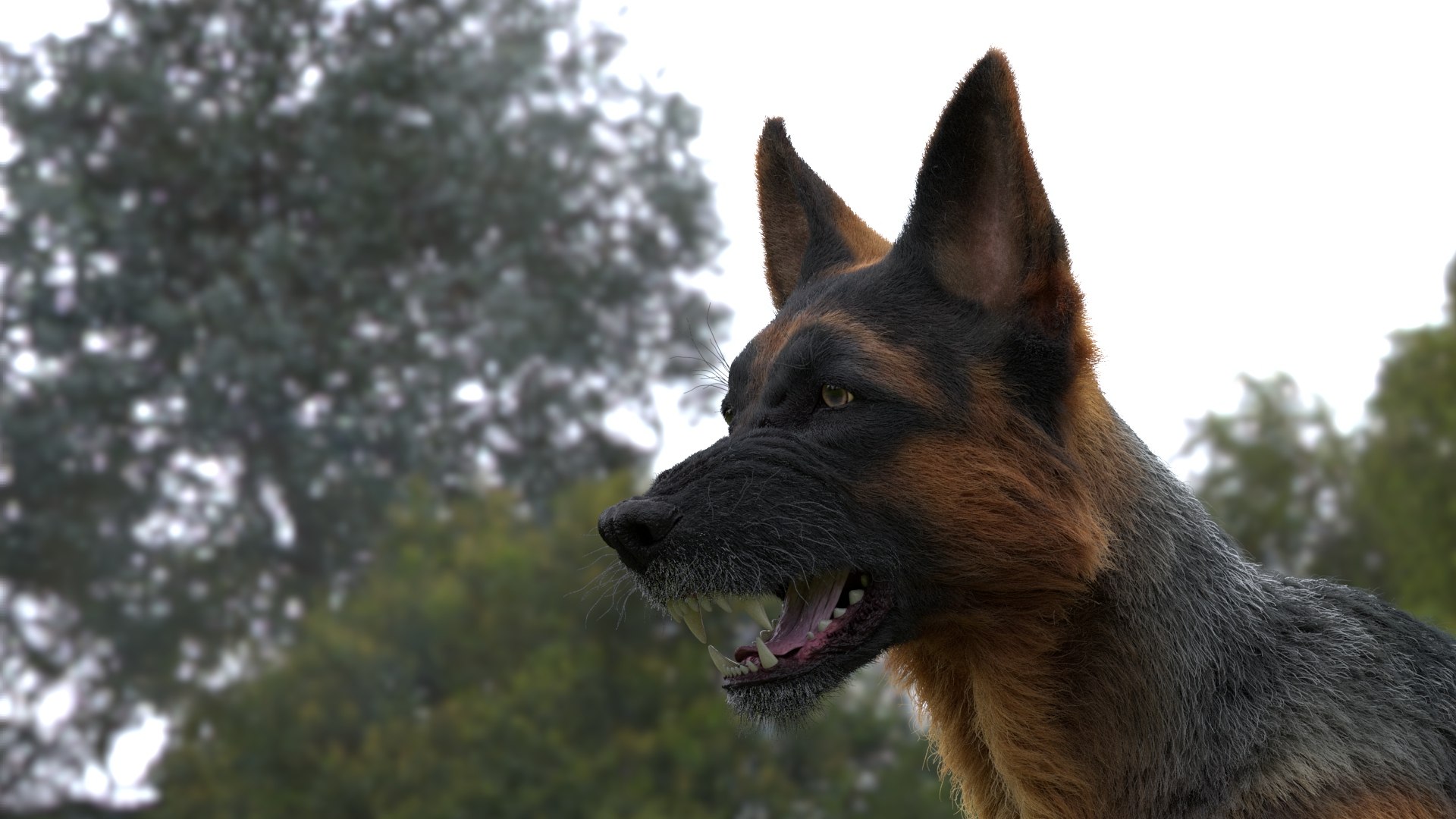 German Shepherd RIGGED Model - TurboSquid 2236838