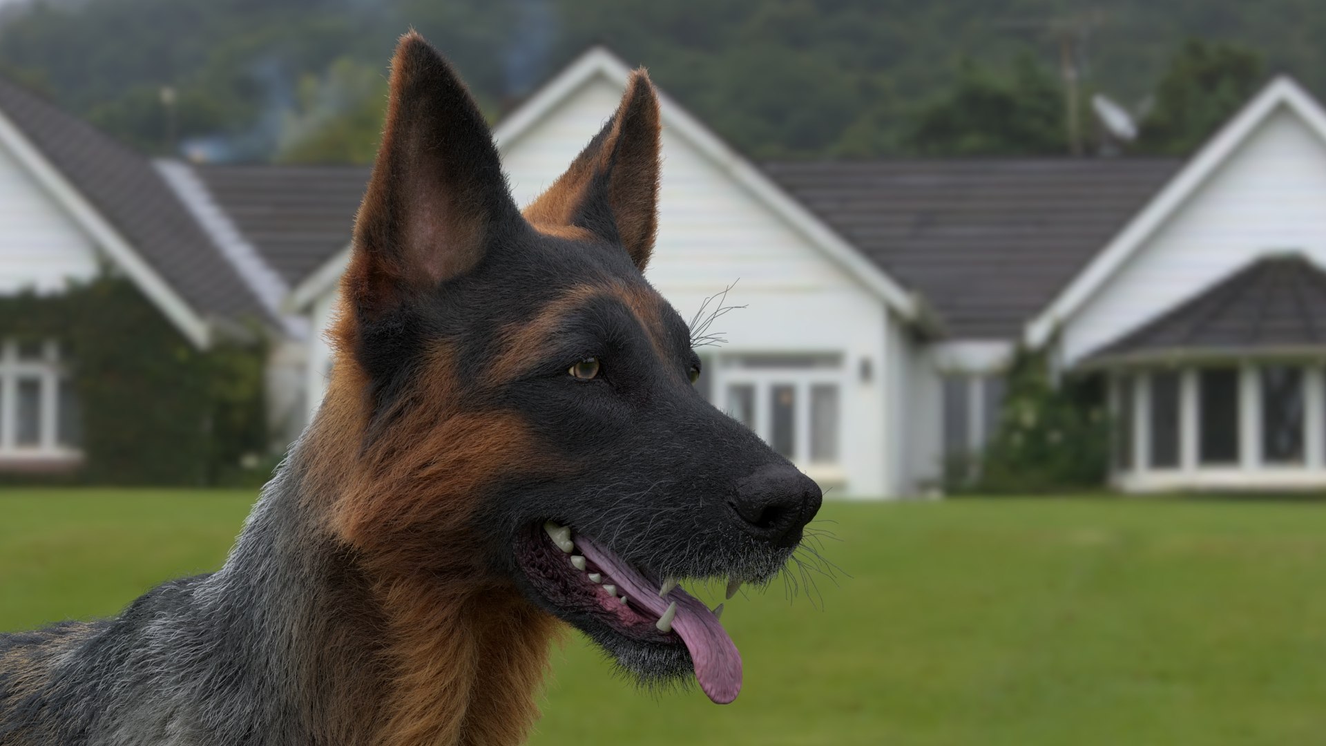 German Shepherd RIGGED Model - TurboSquid 2236838