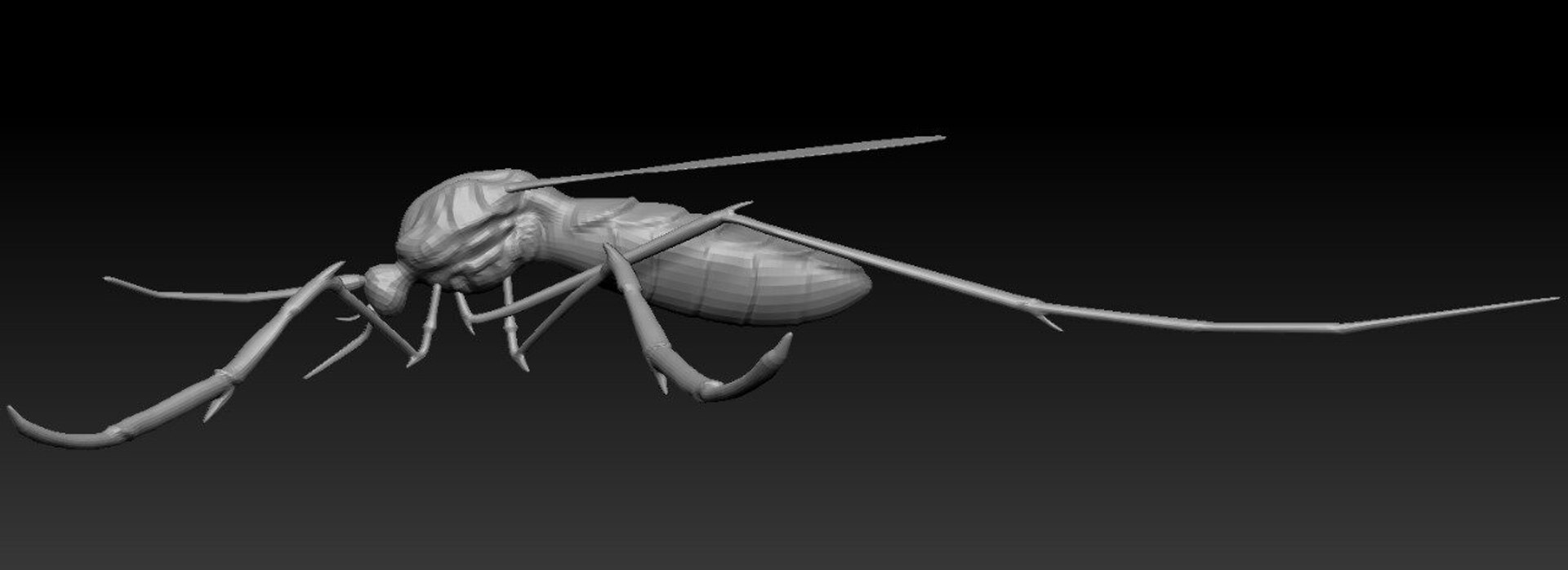 3D Mosquito Rigged Model - TurboSquid 1658957