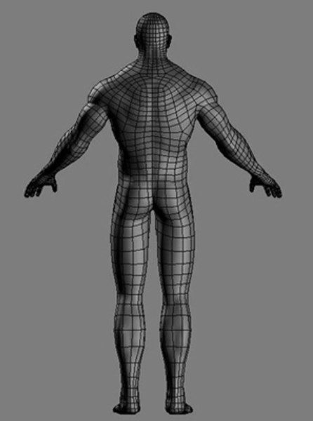 athletic male normal maps max