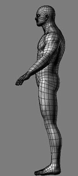 athletic male normal maps max