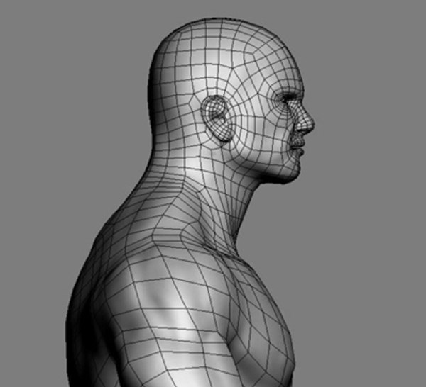 athletic male normal maps max
