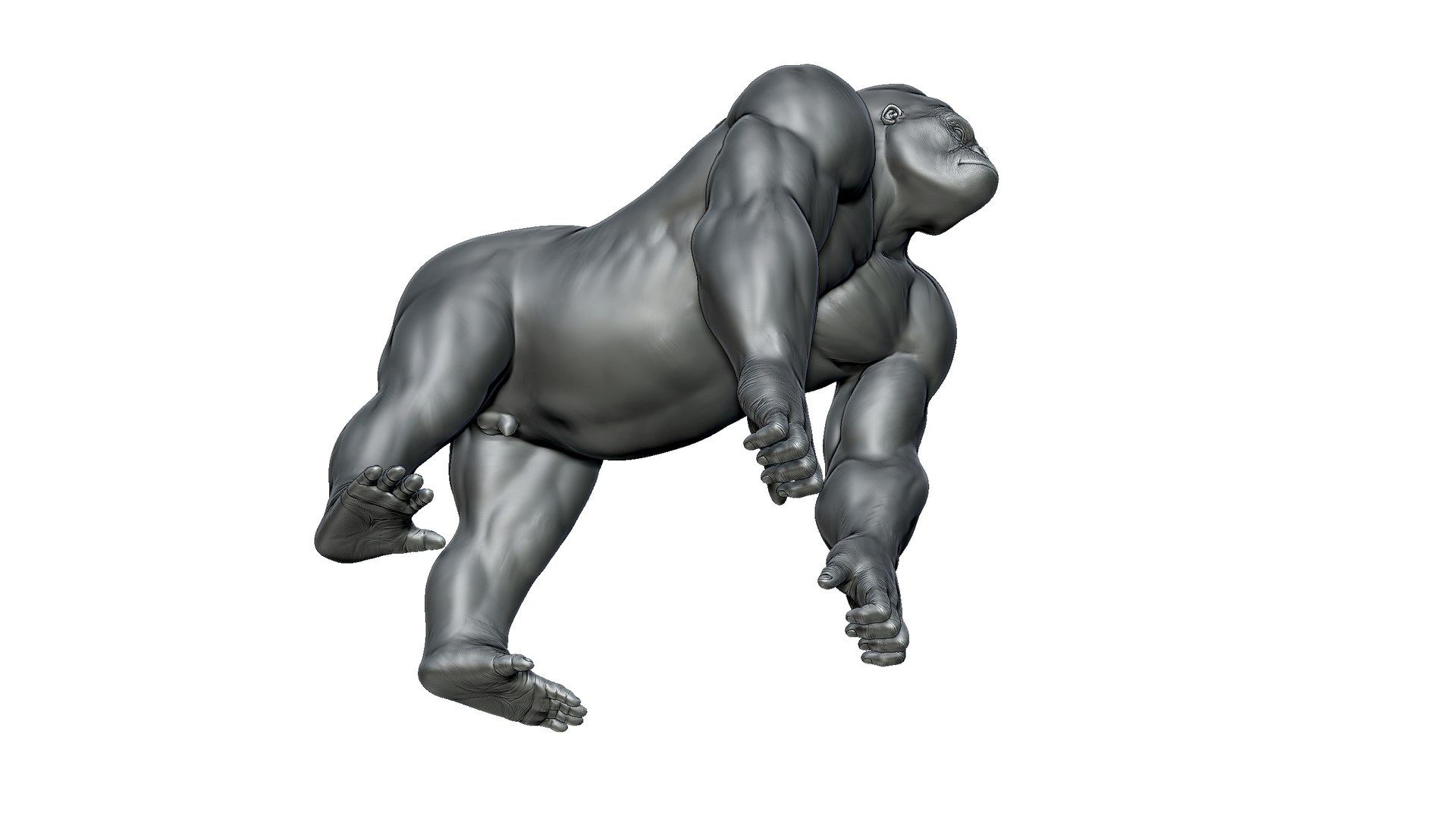 3D Model Gorilla - TurboSquid 2278527
