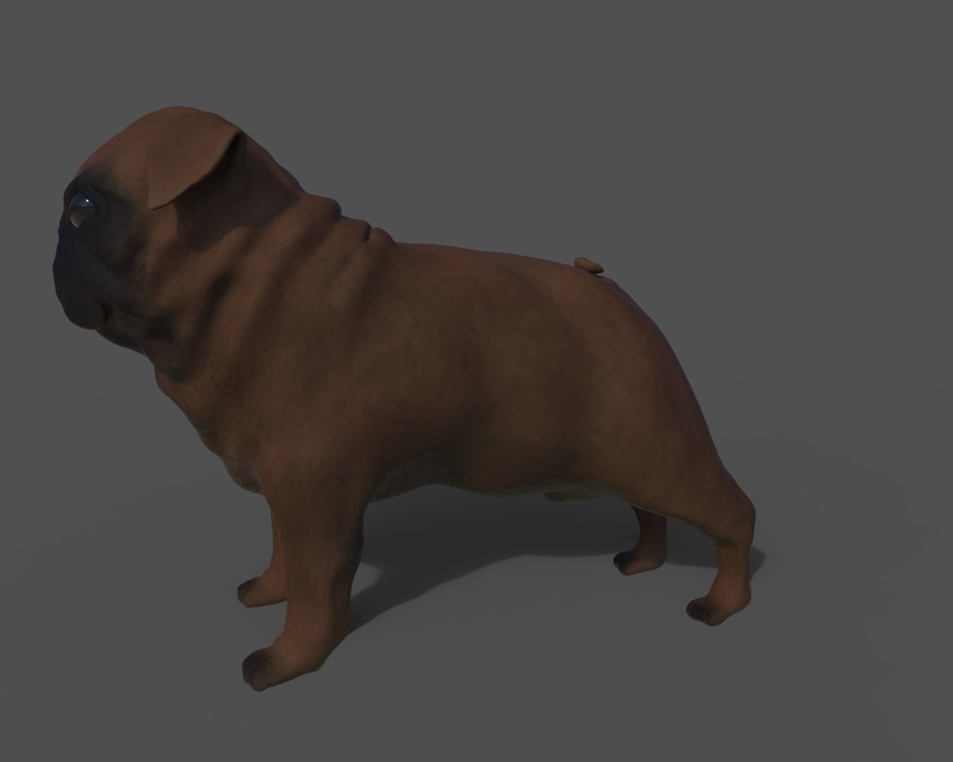 3D Pug Model - TurboSquid 1168561