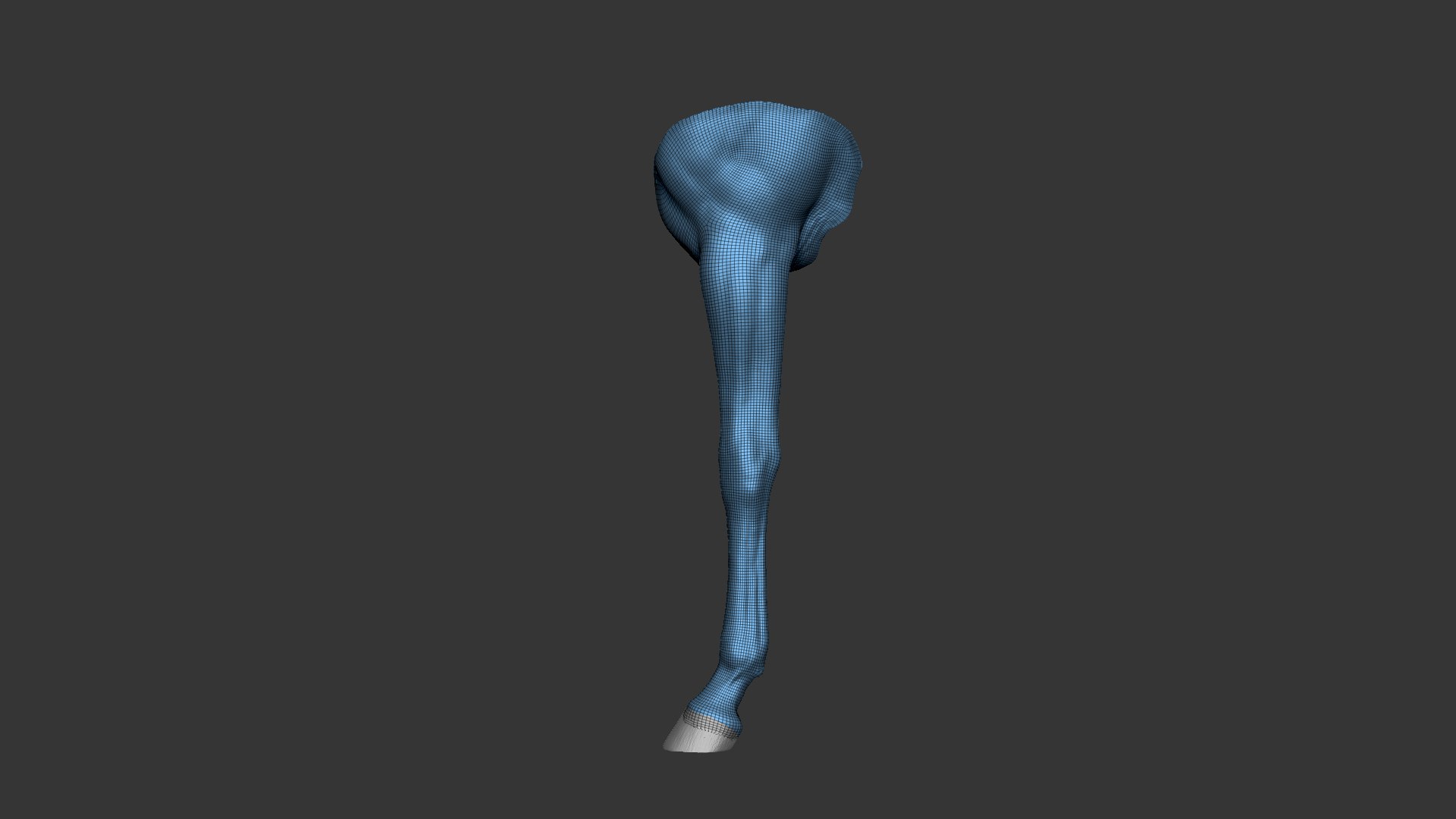 3D model Horse Front Leg Highpoly Sculpt - TurboSquid 1808027