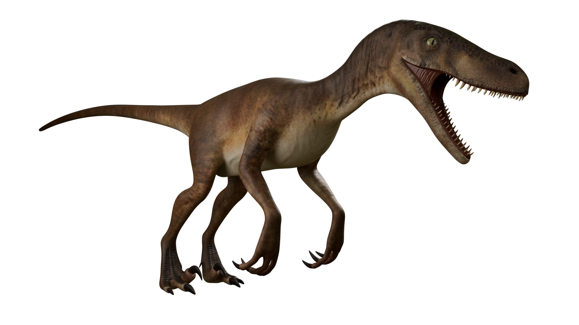 Velociraptor Model - TurboSquid 1785880