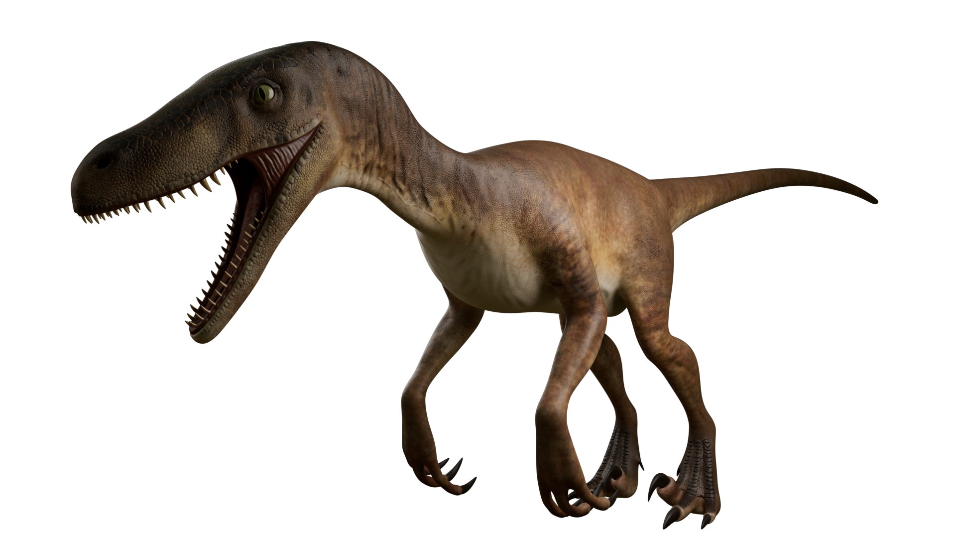 Velociraptor Model - TurboSquid 1785880